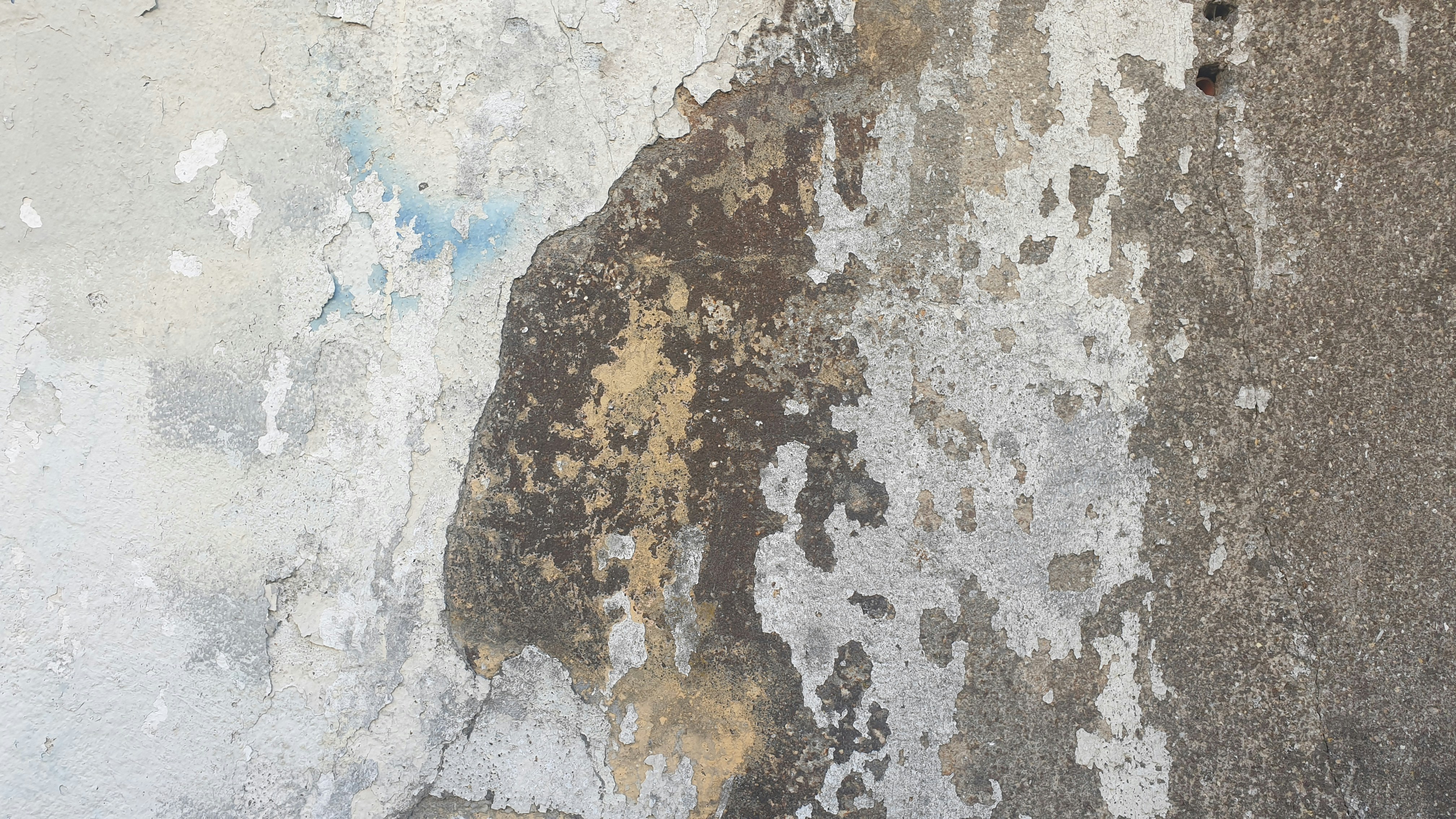 Photo by Krakograff Textures with Samsung Galaxy S9 Plus