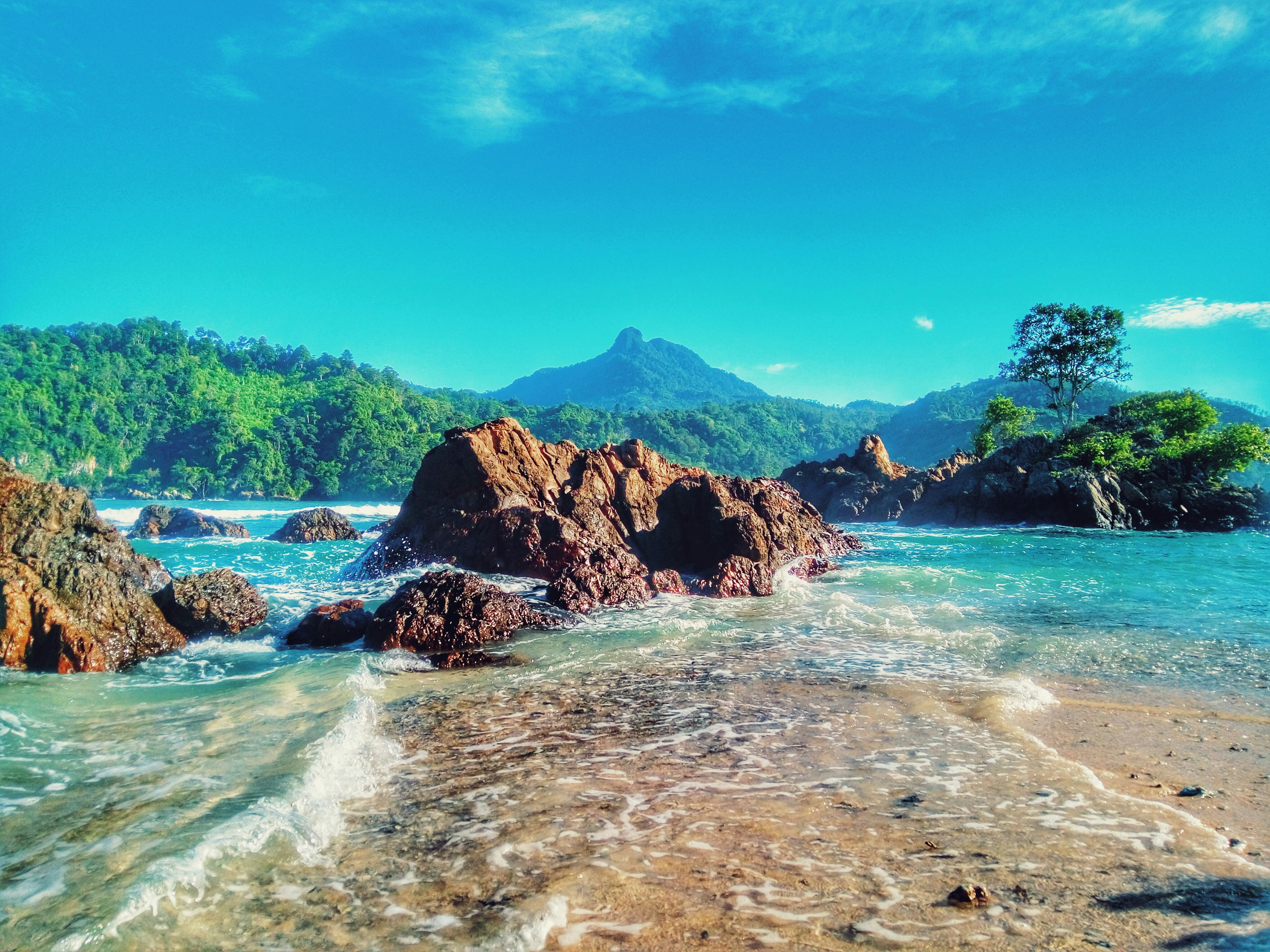 a rocky beach with trees and mountains in the background
