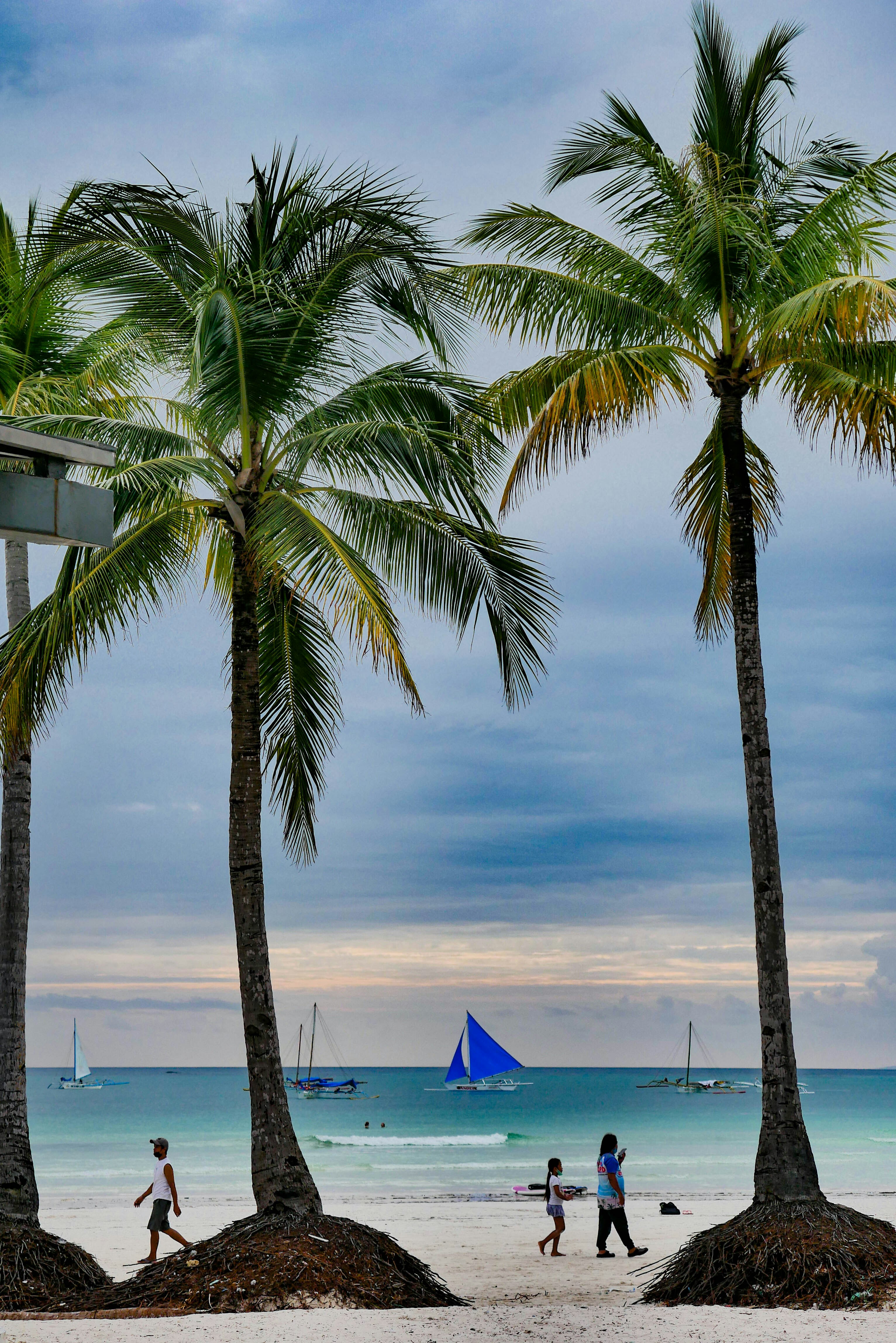 Silhouetted palm trees frame a tranquil beach scene with people walking along the shore and sailboats in the distance.