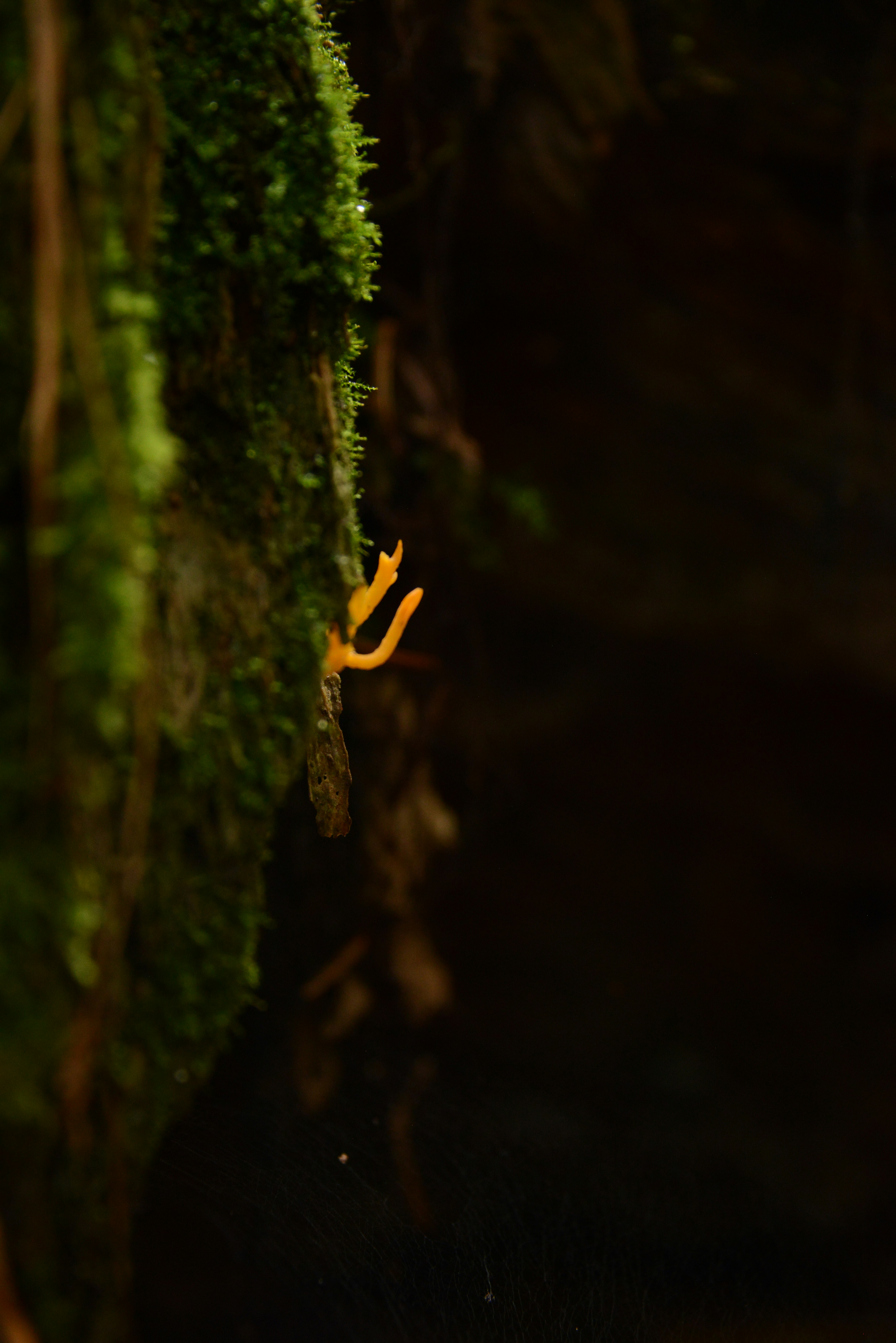 Photo by Colfra with Nikon D800