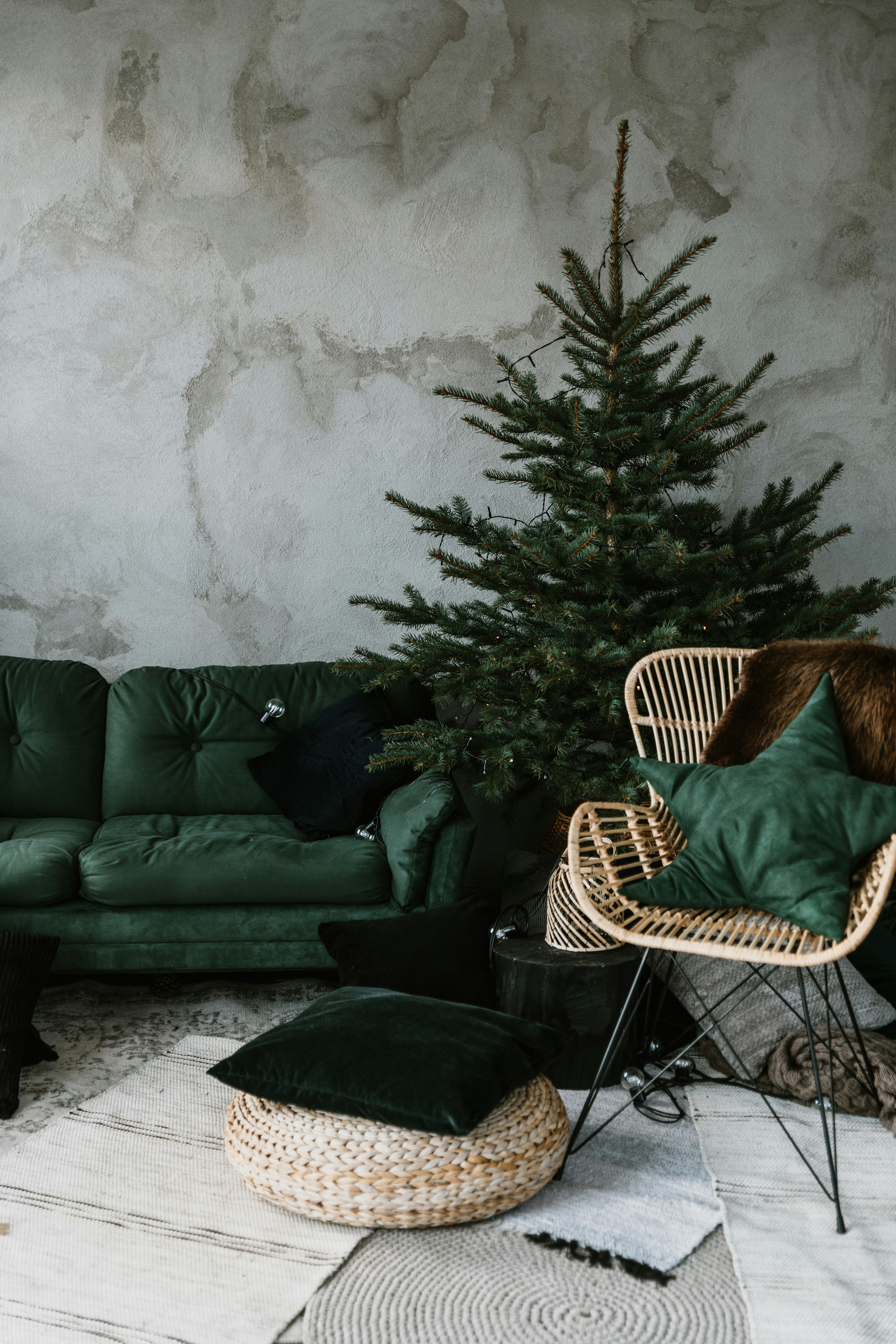 Velvet Green Corner: A Cozy Living Room Scene with a Woven Chair and Christmas Tree