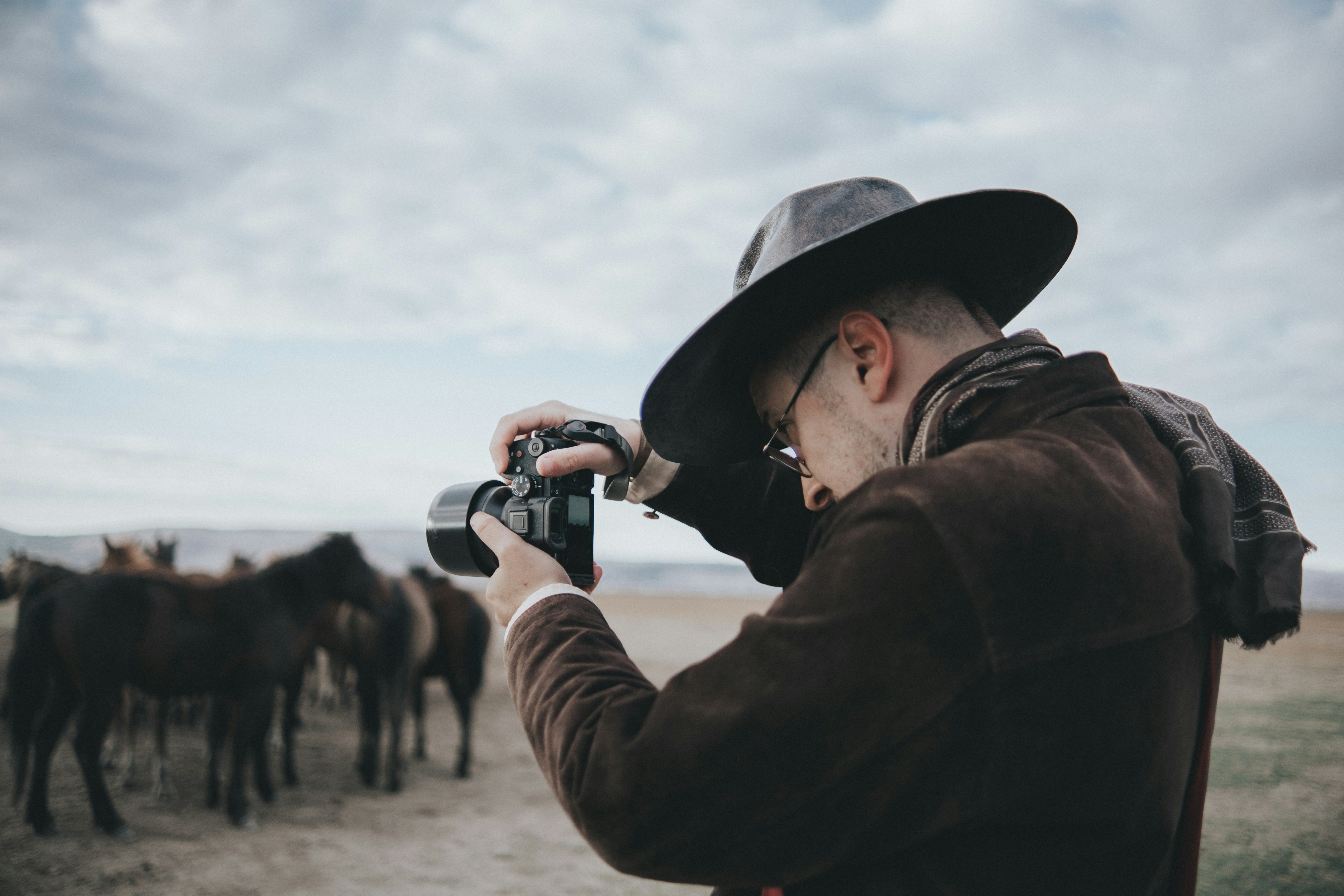 Silent Focus: The Photographer and the Herd under a Wide Sky