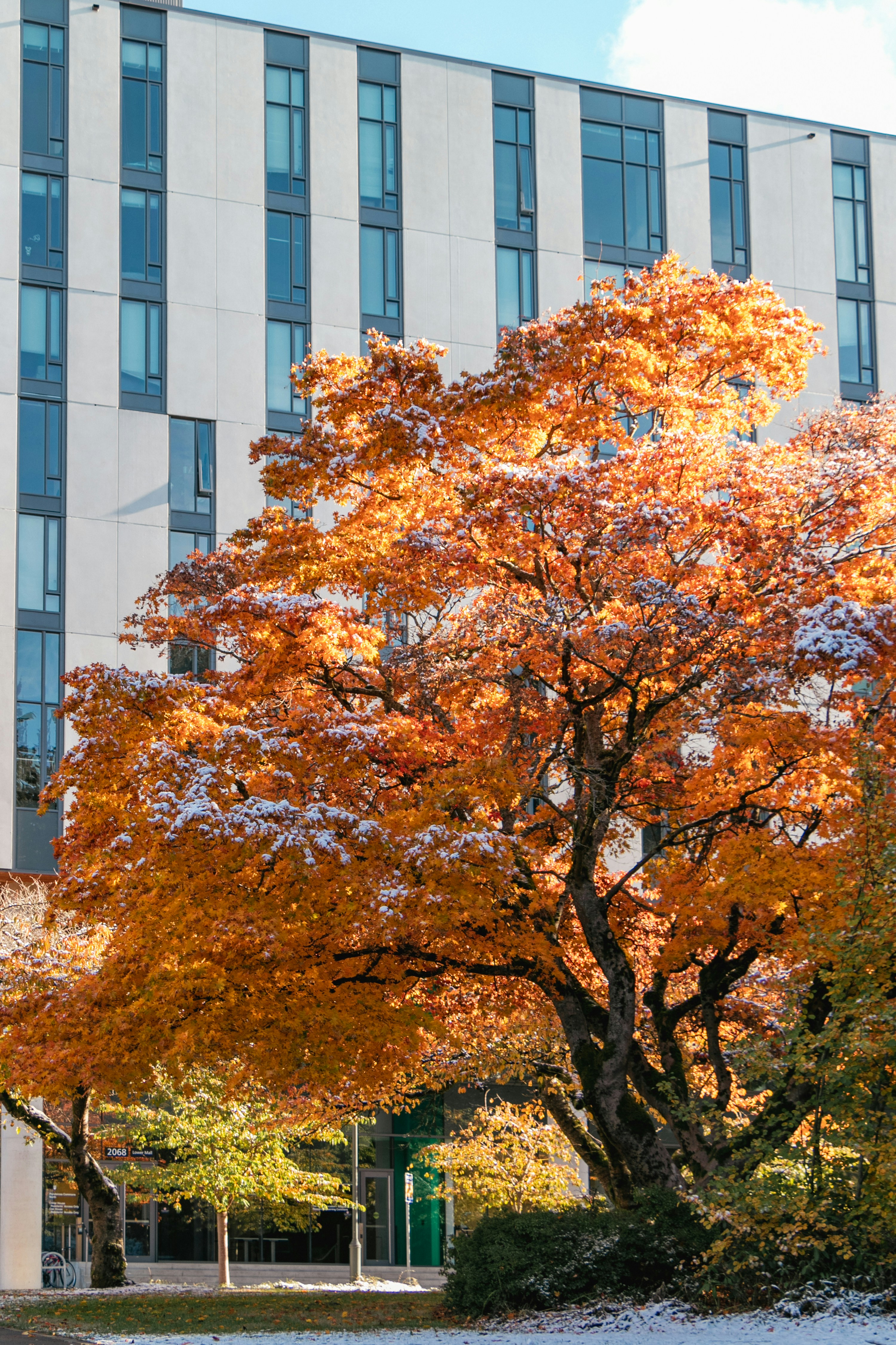 A building with trees in front of it photo – Free Ubc Image on Unsplash