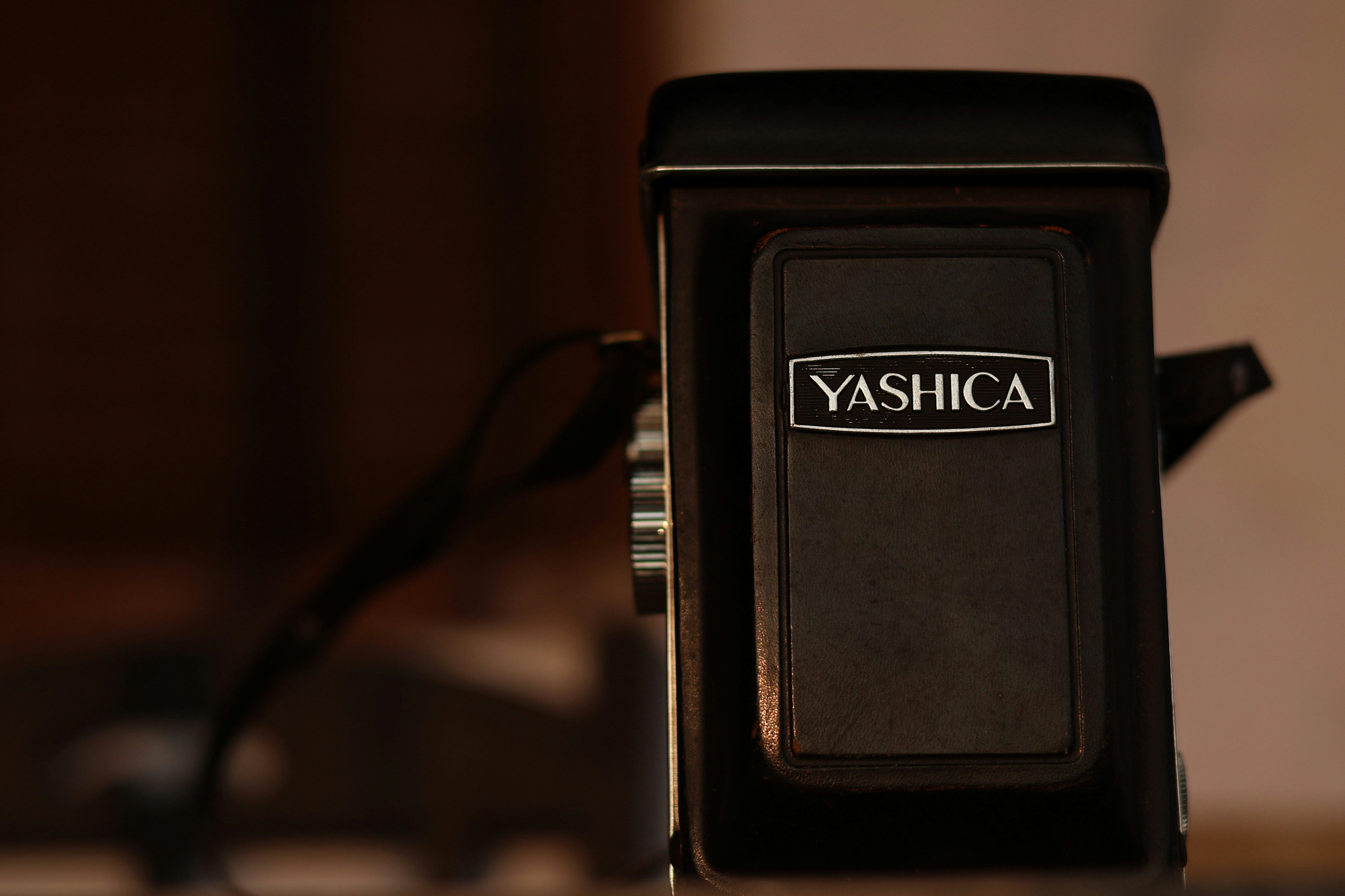 Yashica in Focus: A Quiet Portrait of Vintage Craft