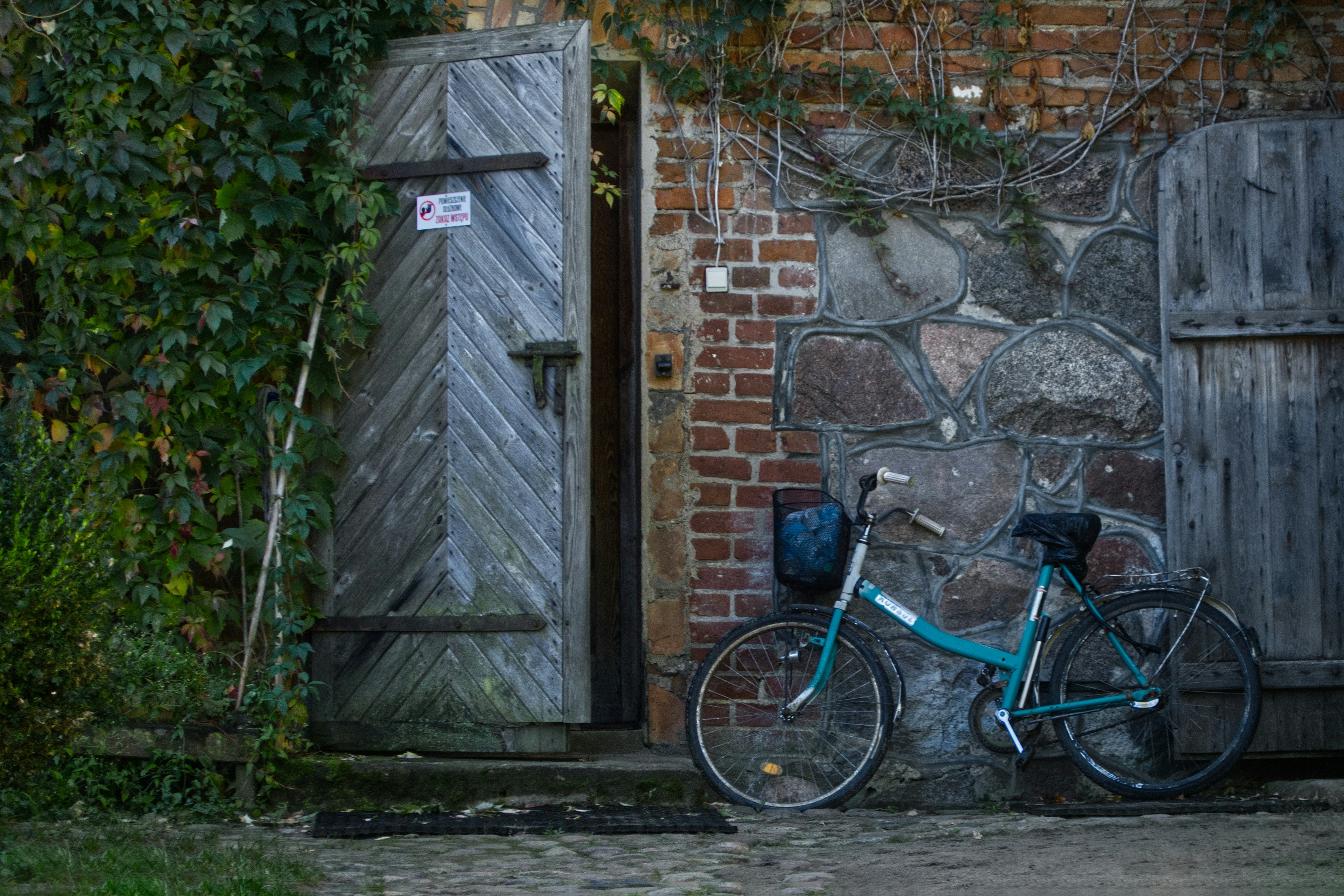 A vintage bicycle rests against a rustic stone wall beside an old wooden door, surrounded by lush greenery.