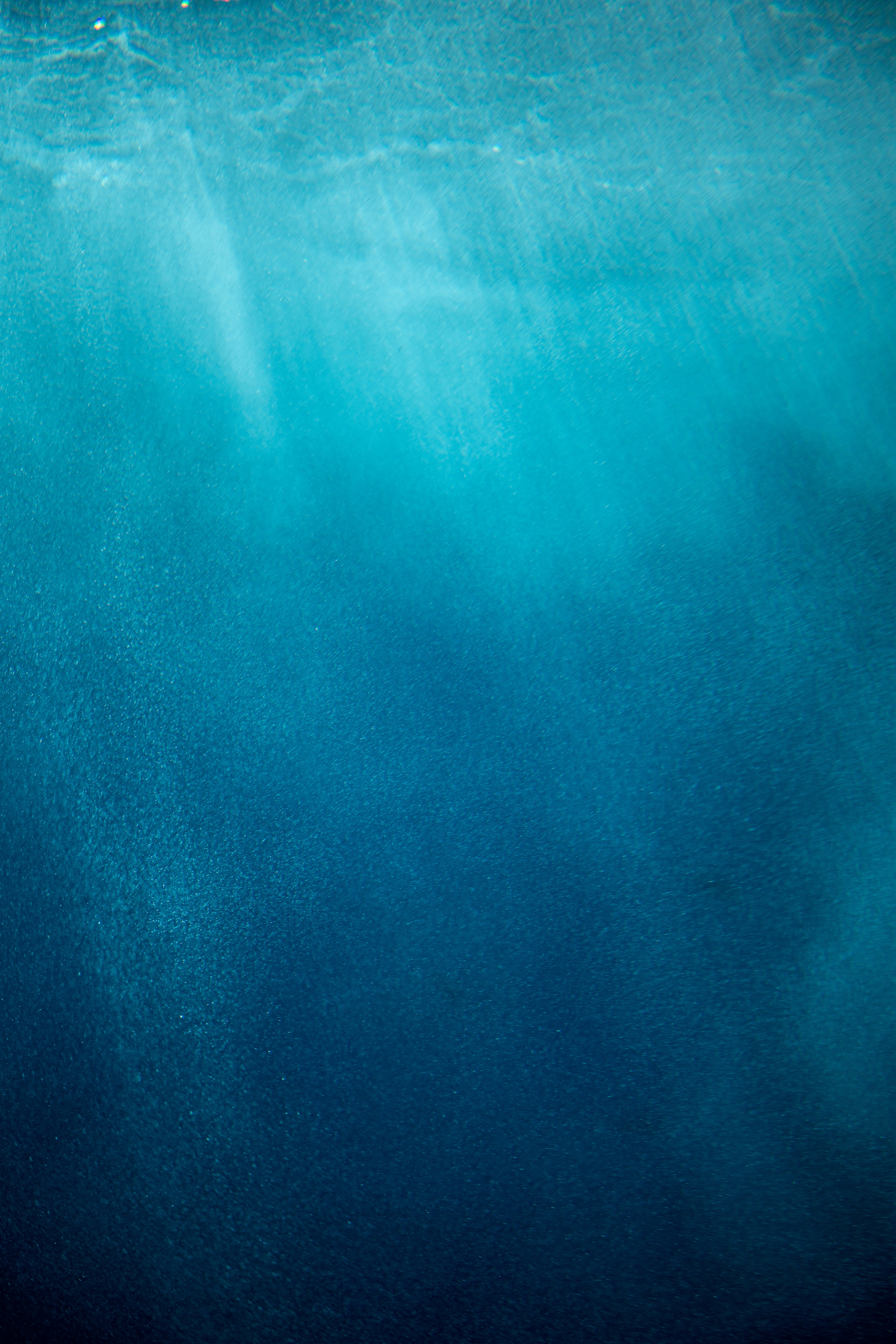 Photo by Janek Valdsalu with Sony Alpha 7 IV