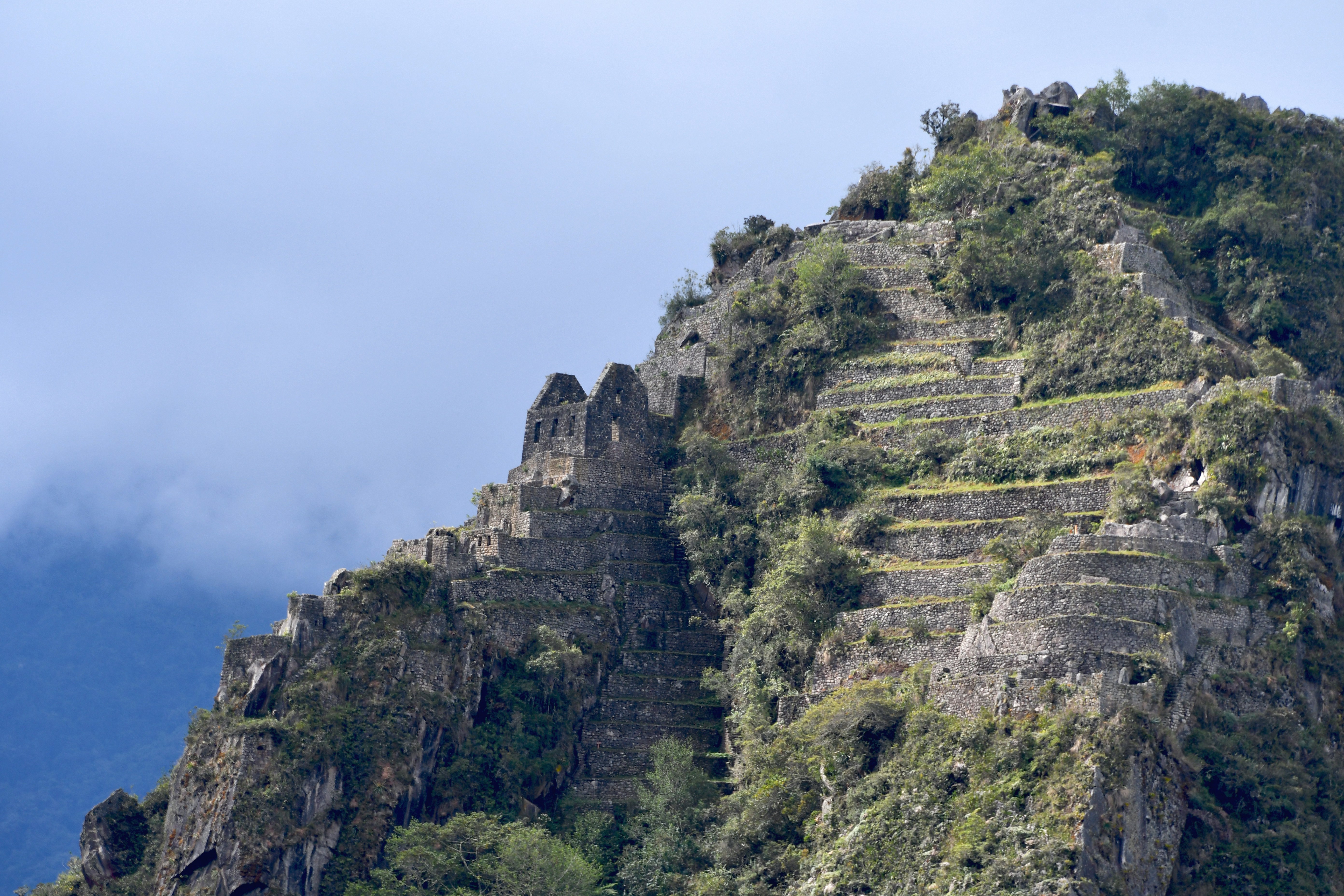 A cliff with trees on it photo – Free Machu picchu Image on Unsplash
