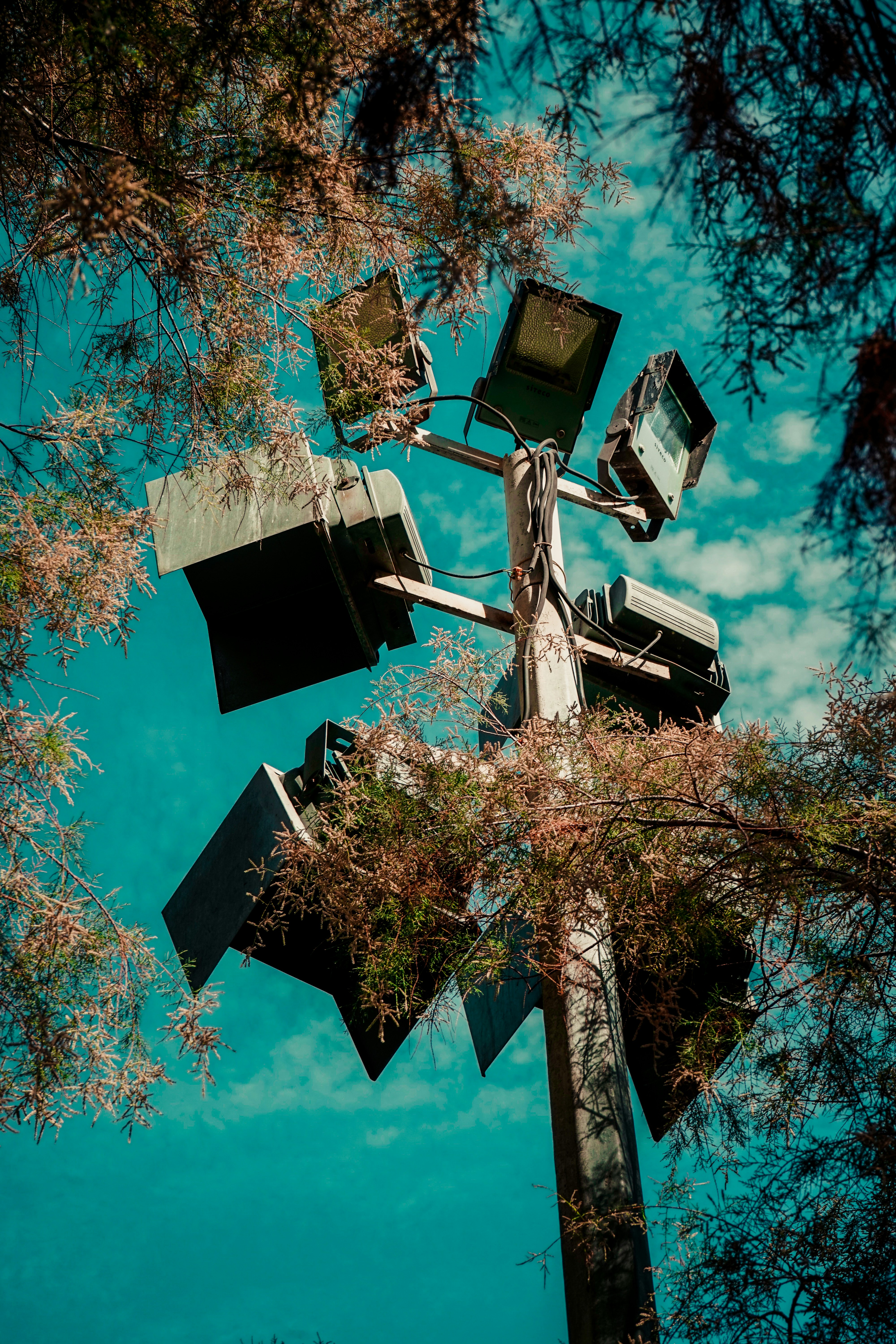Industrial beacon under turquoise sky, framed by branches