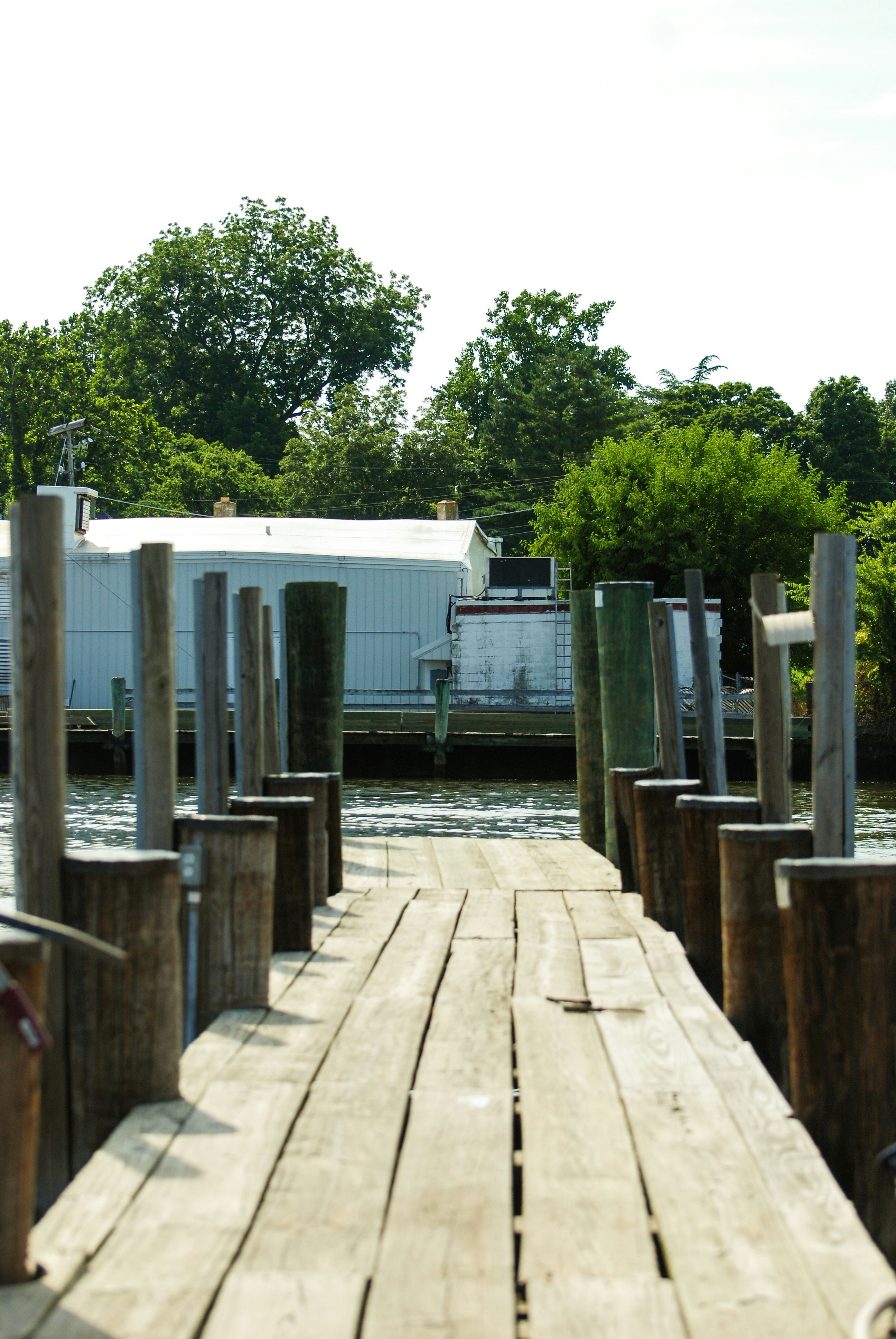 A wooden dock over water photo – Free Wood Image on Unsplash