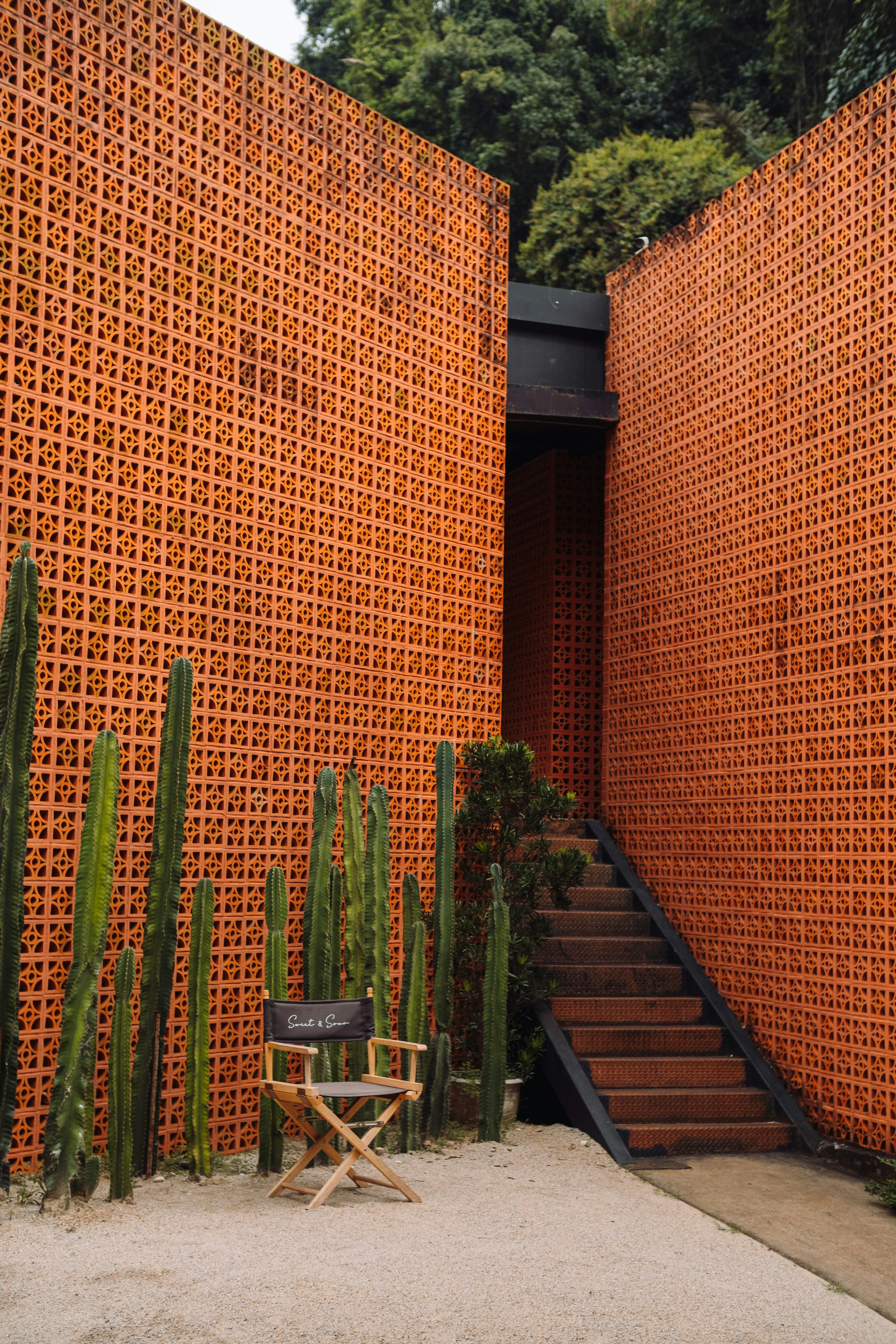Between Terracotta Lattice Walls: A Quiet Staircase Framed by Cacti