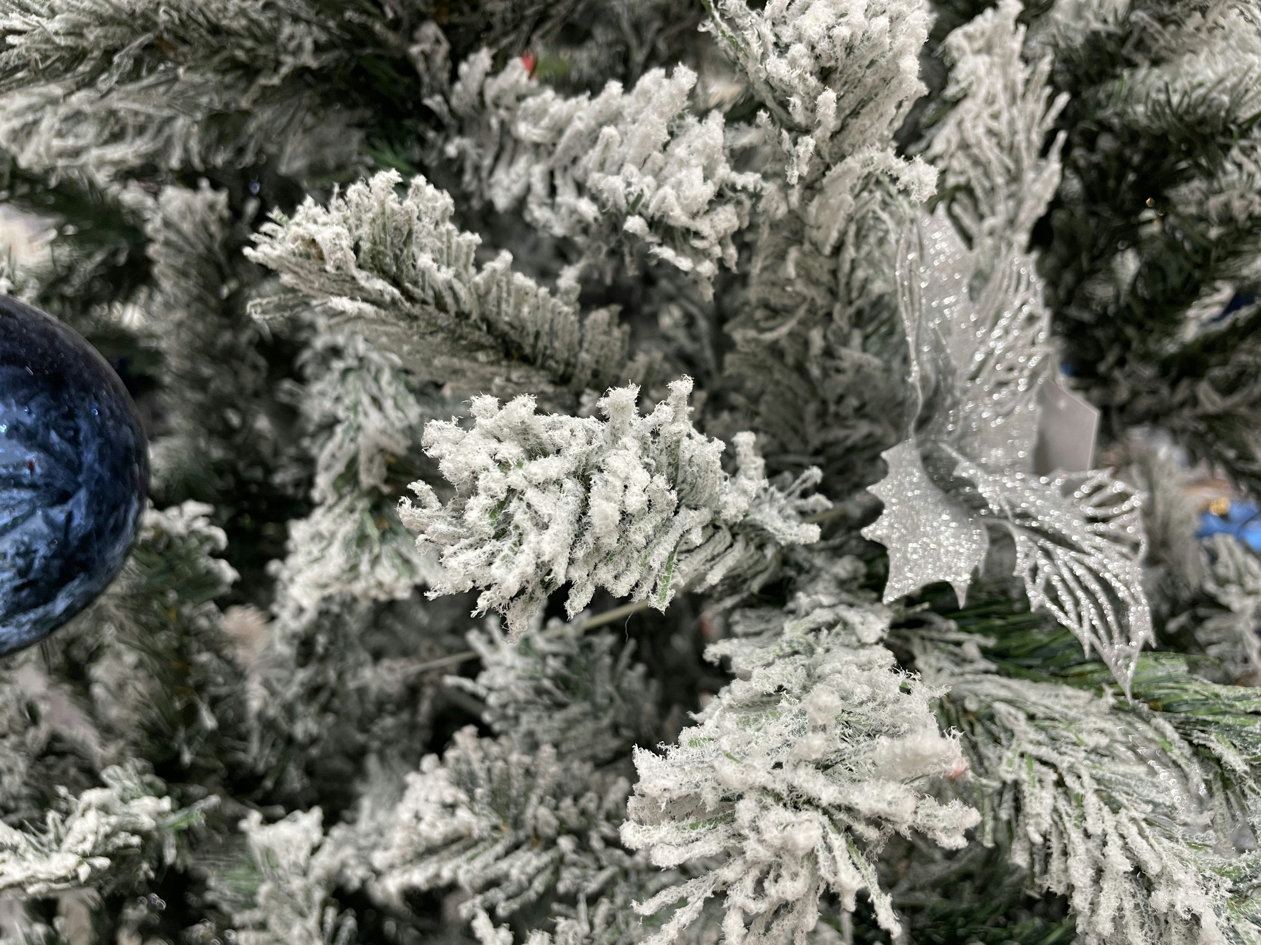 Photo by Tasha Kostyuk with Apple iPhone 12