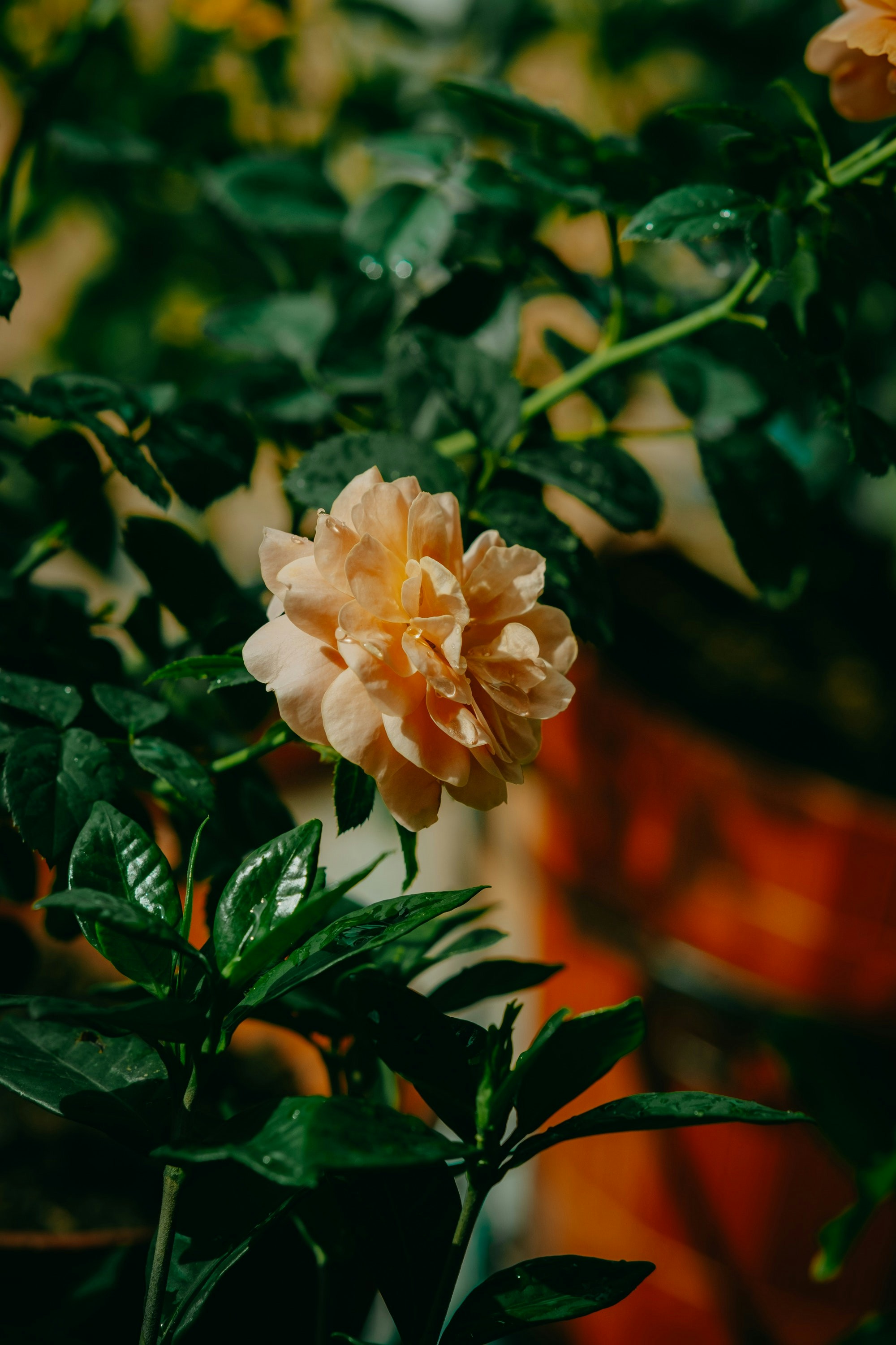 Greed Pictures | Download Free Images on Unsplash