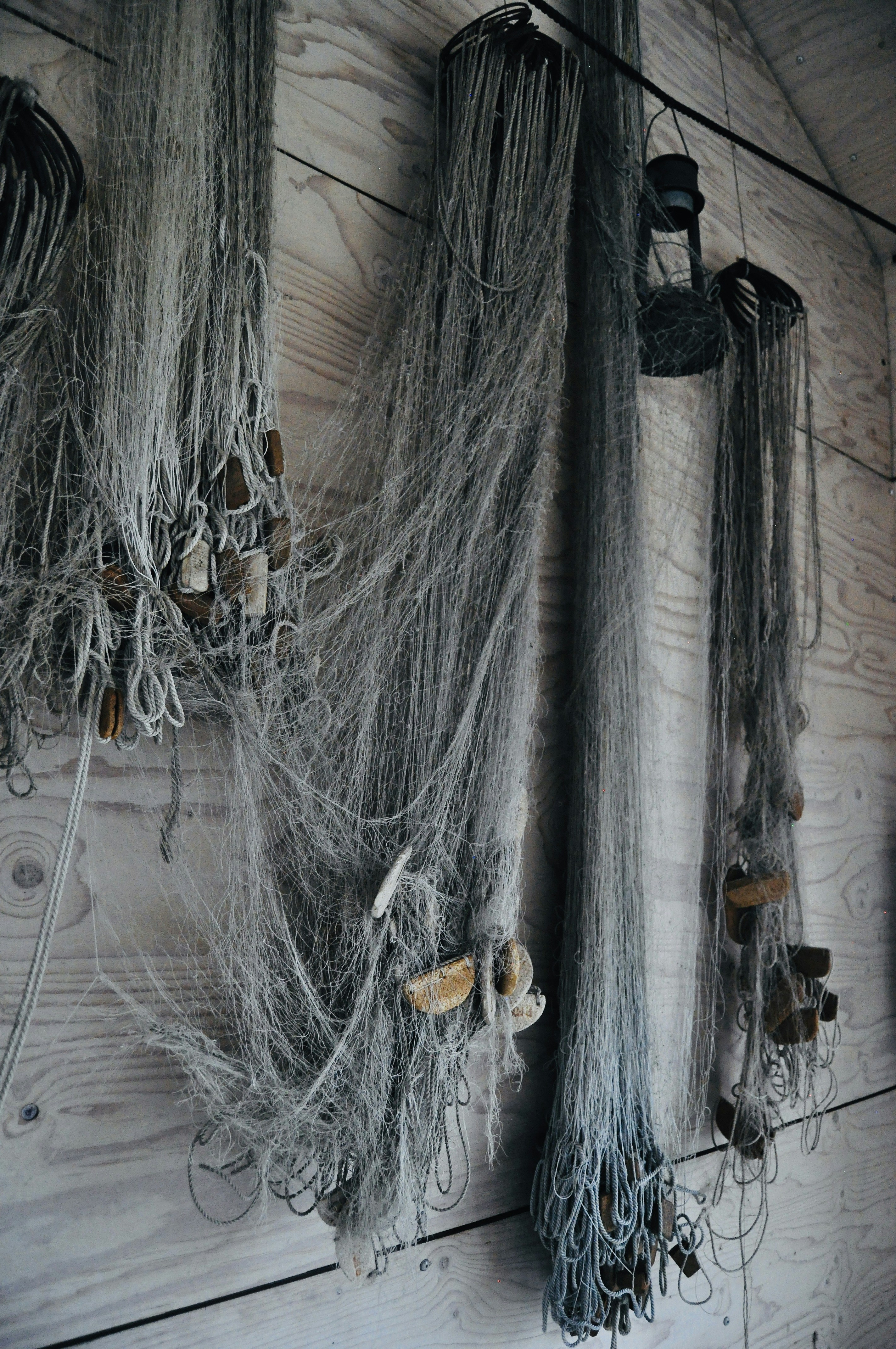 Ghost Threads on Weathered Planks