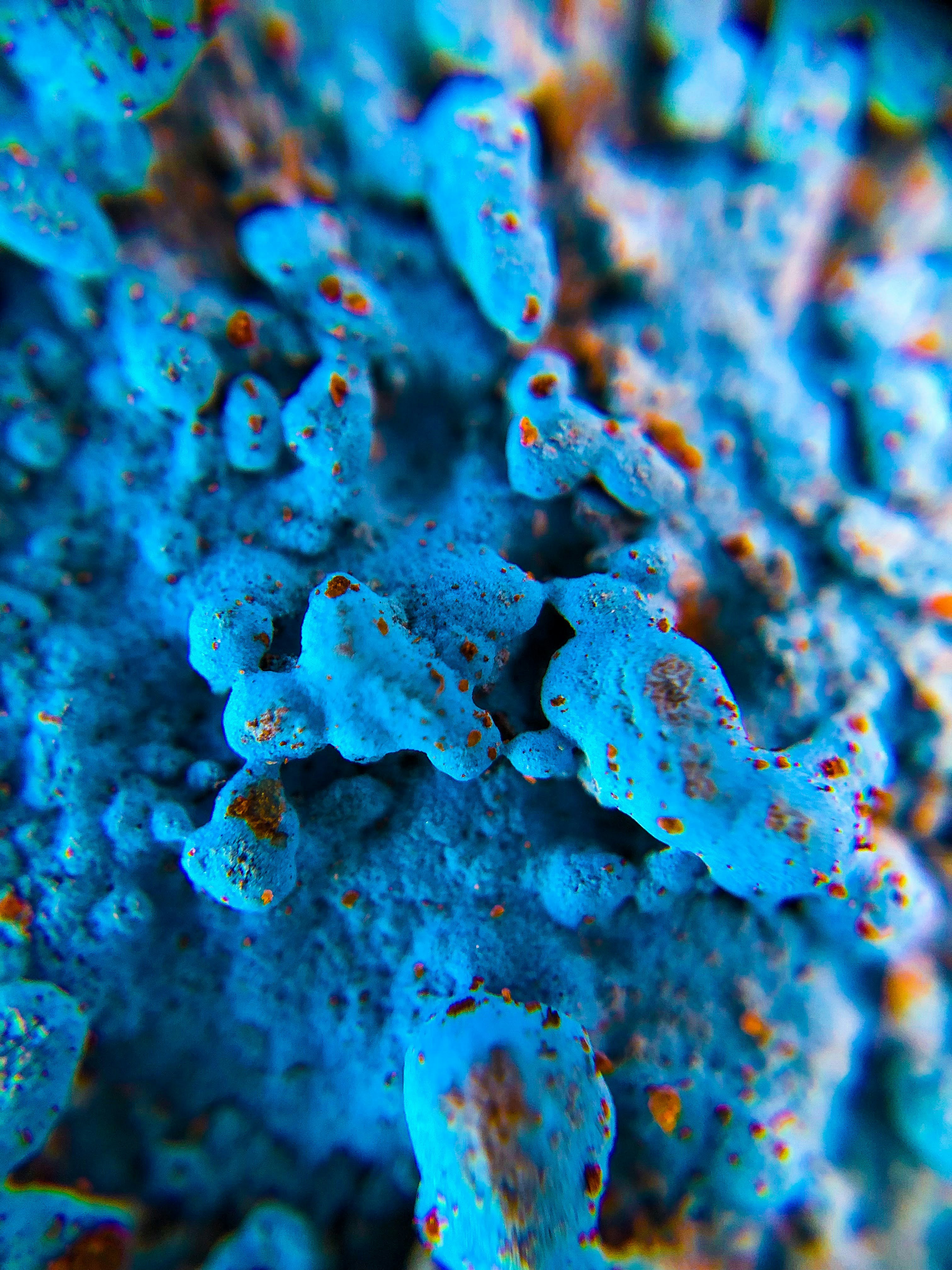 Electric Azure Cortex: Macro Portrait of Blue Porous Texture with Rusty Specks