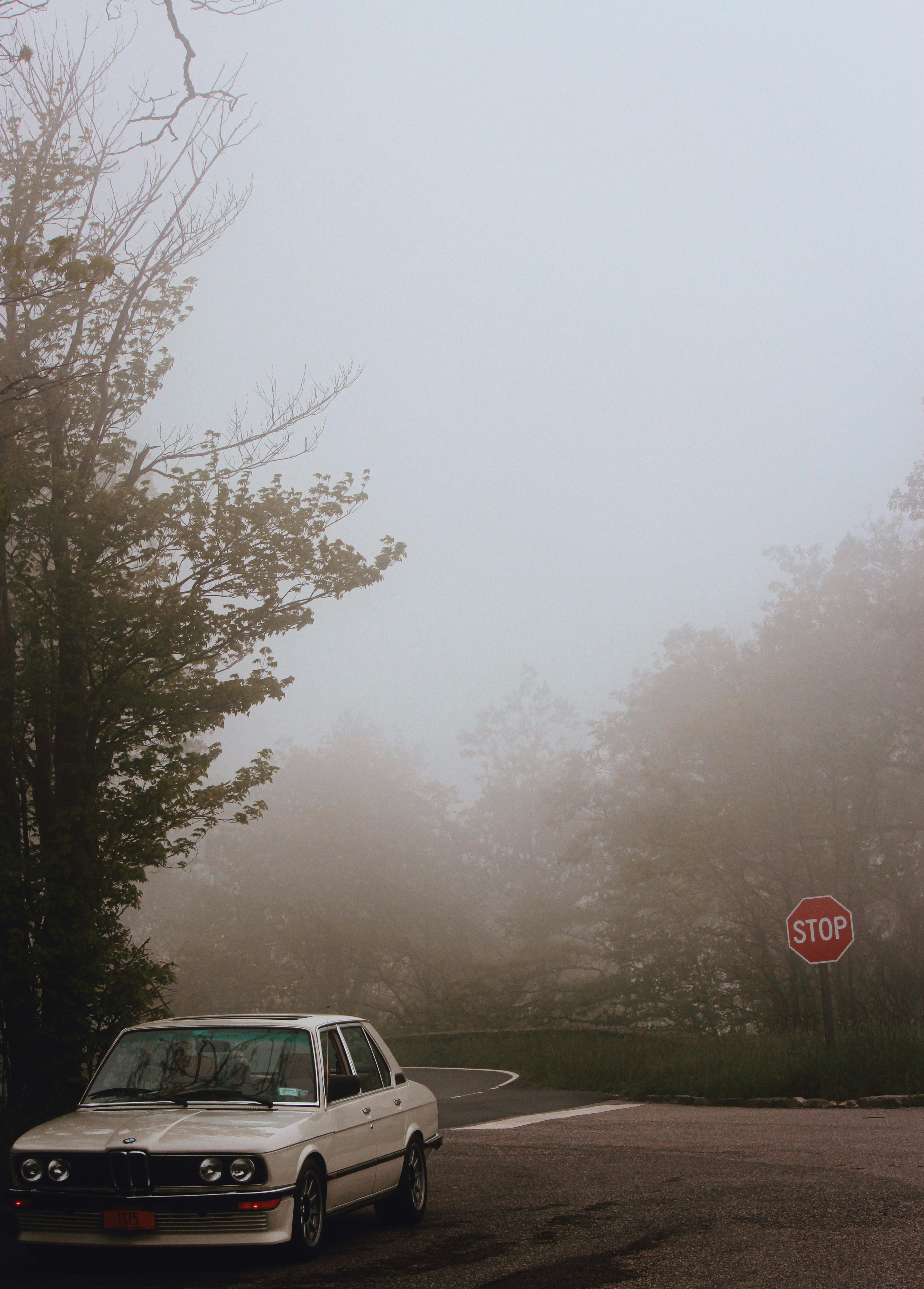 a car on a road with trees on the side