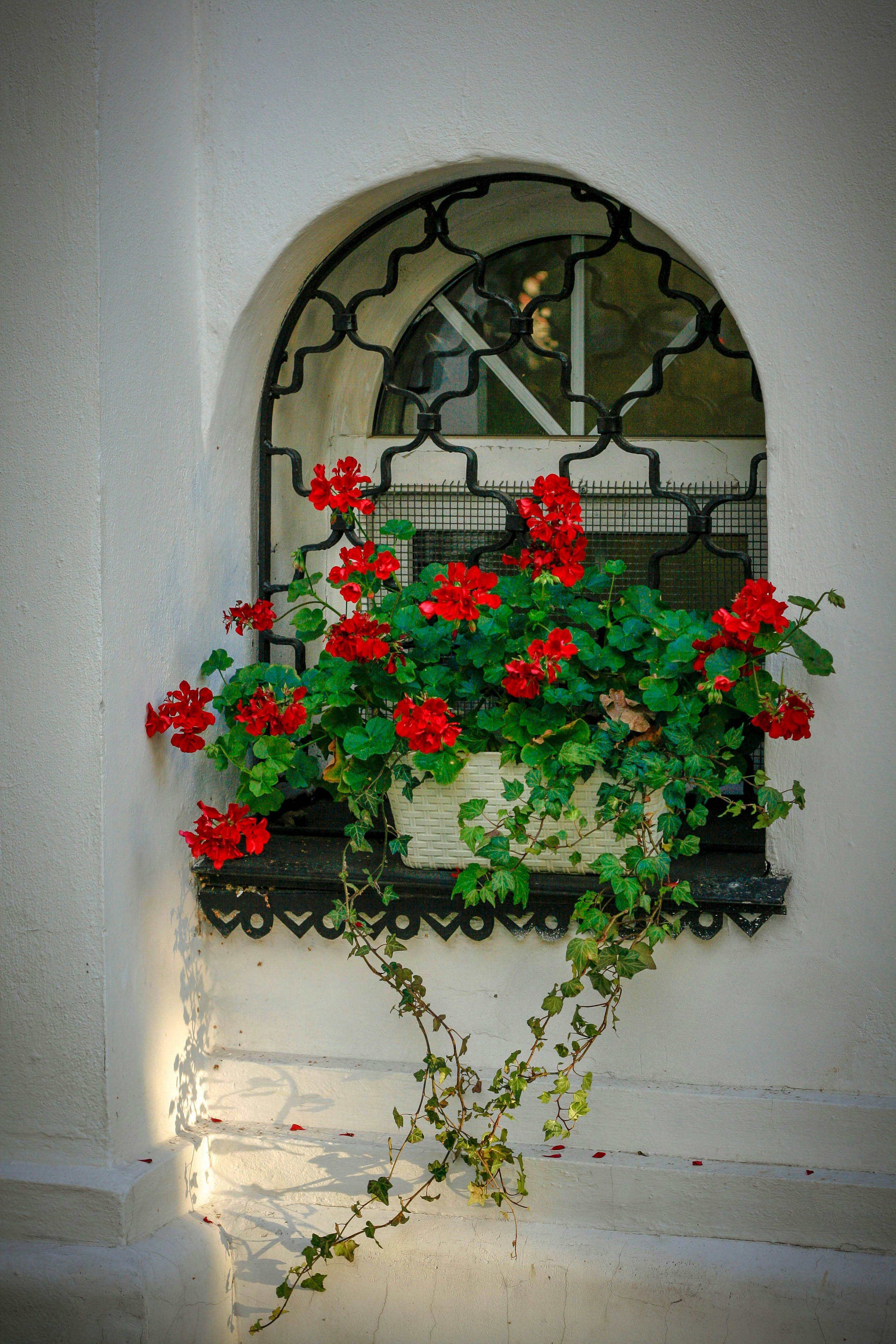 a wreath on a door