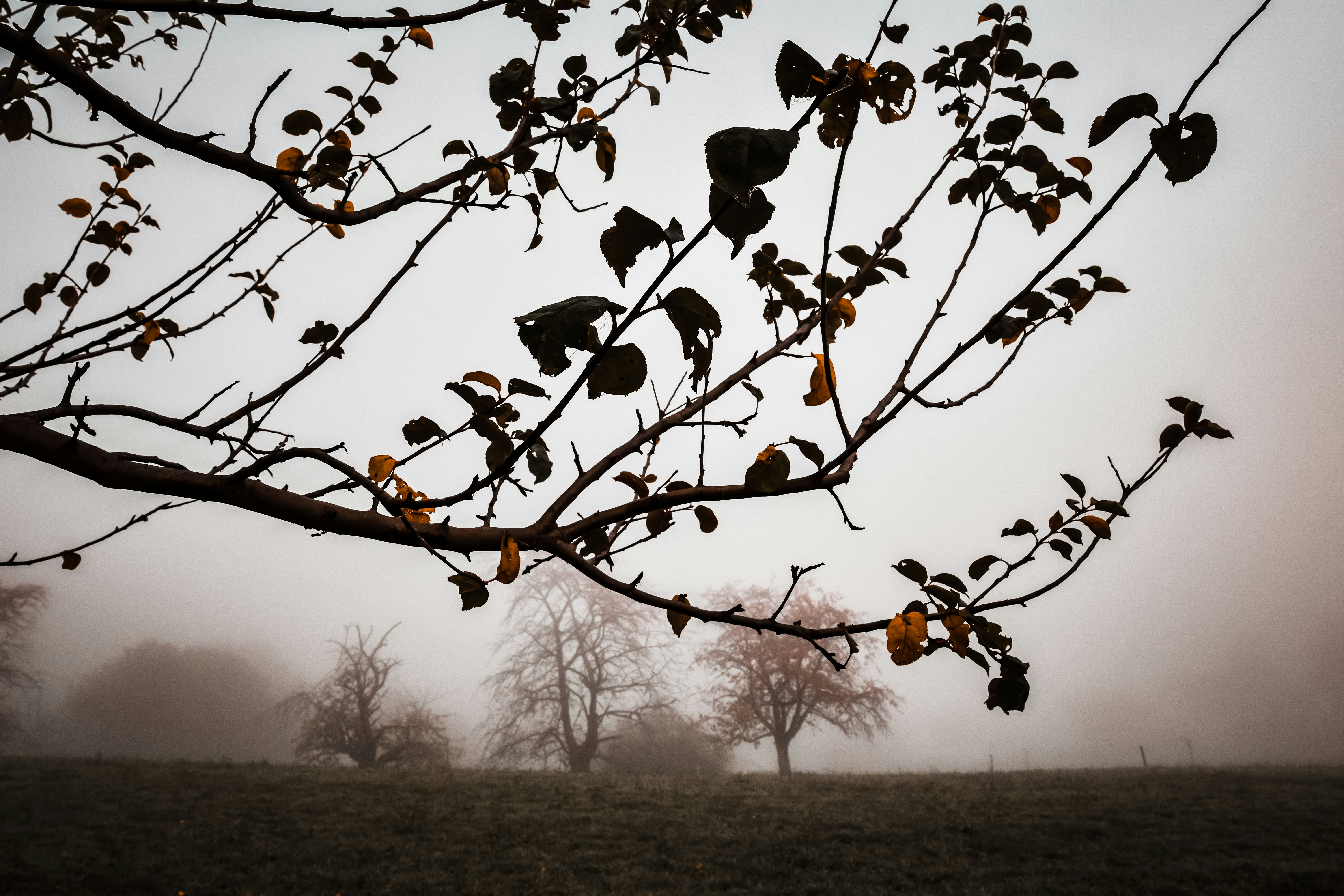 Photo by Laura Kae with Nikon D5600