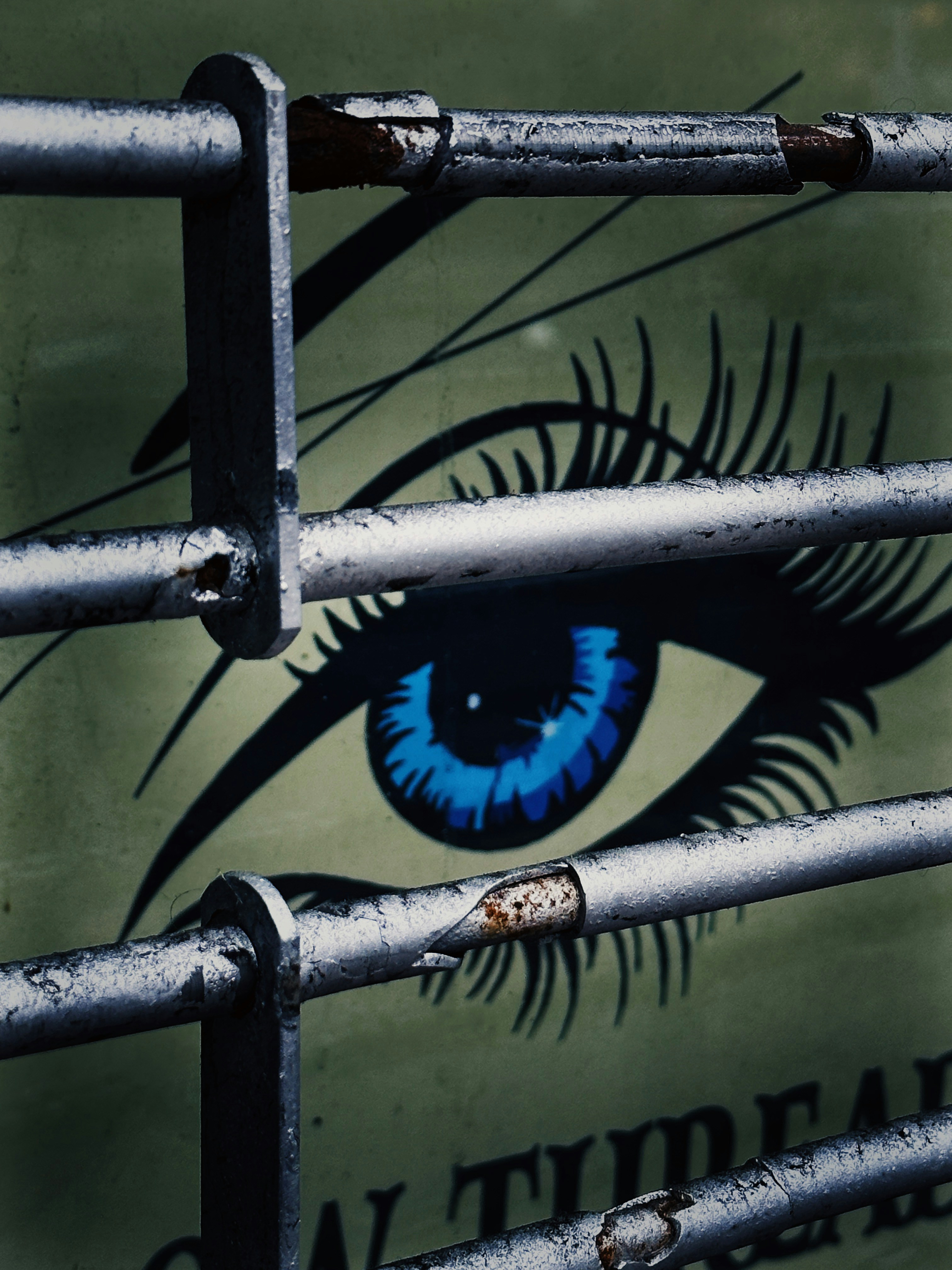 A striking blue eye peeks through a series of metal bars, creating a juxtaposition between confinement and observation.