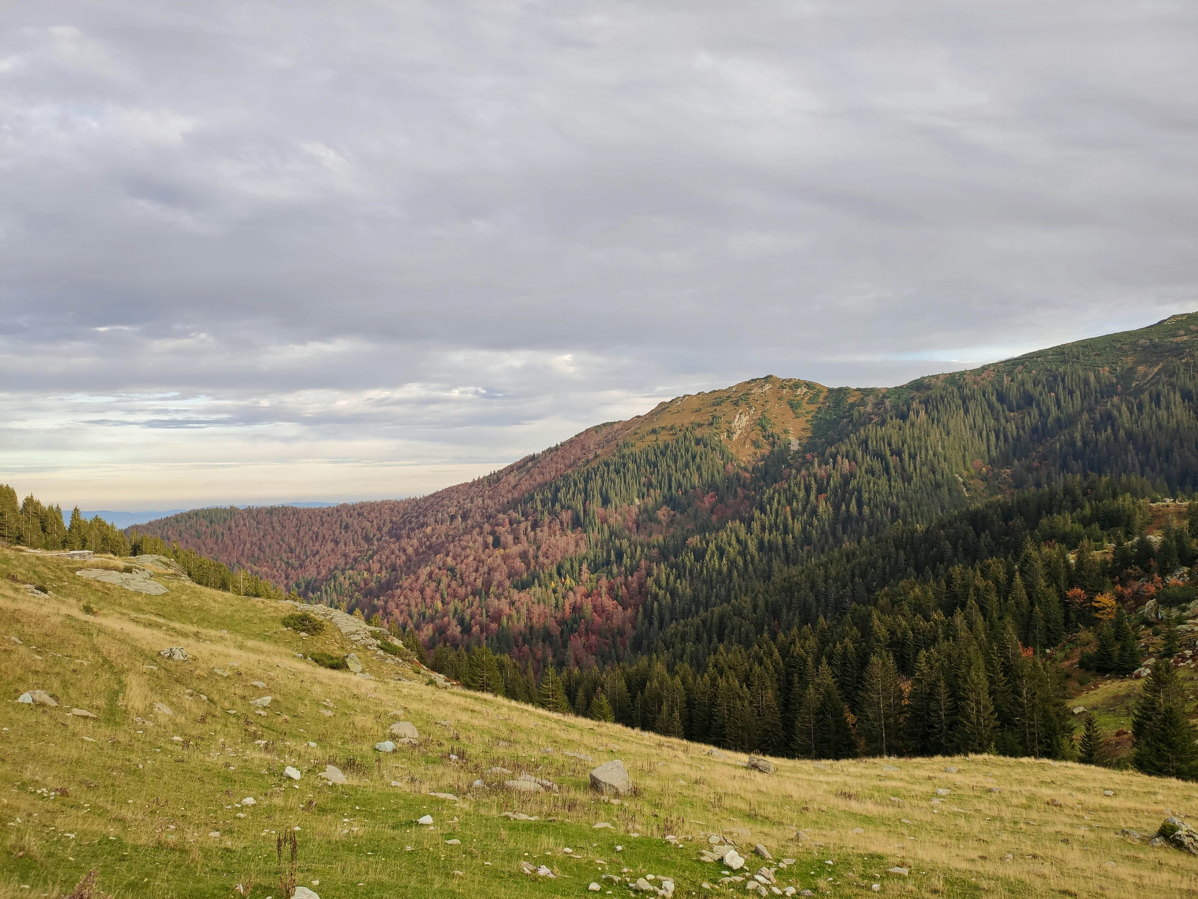 Autumn Crest over a Quiet Valley