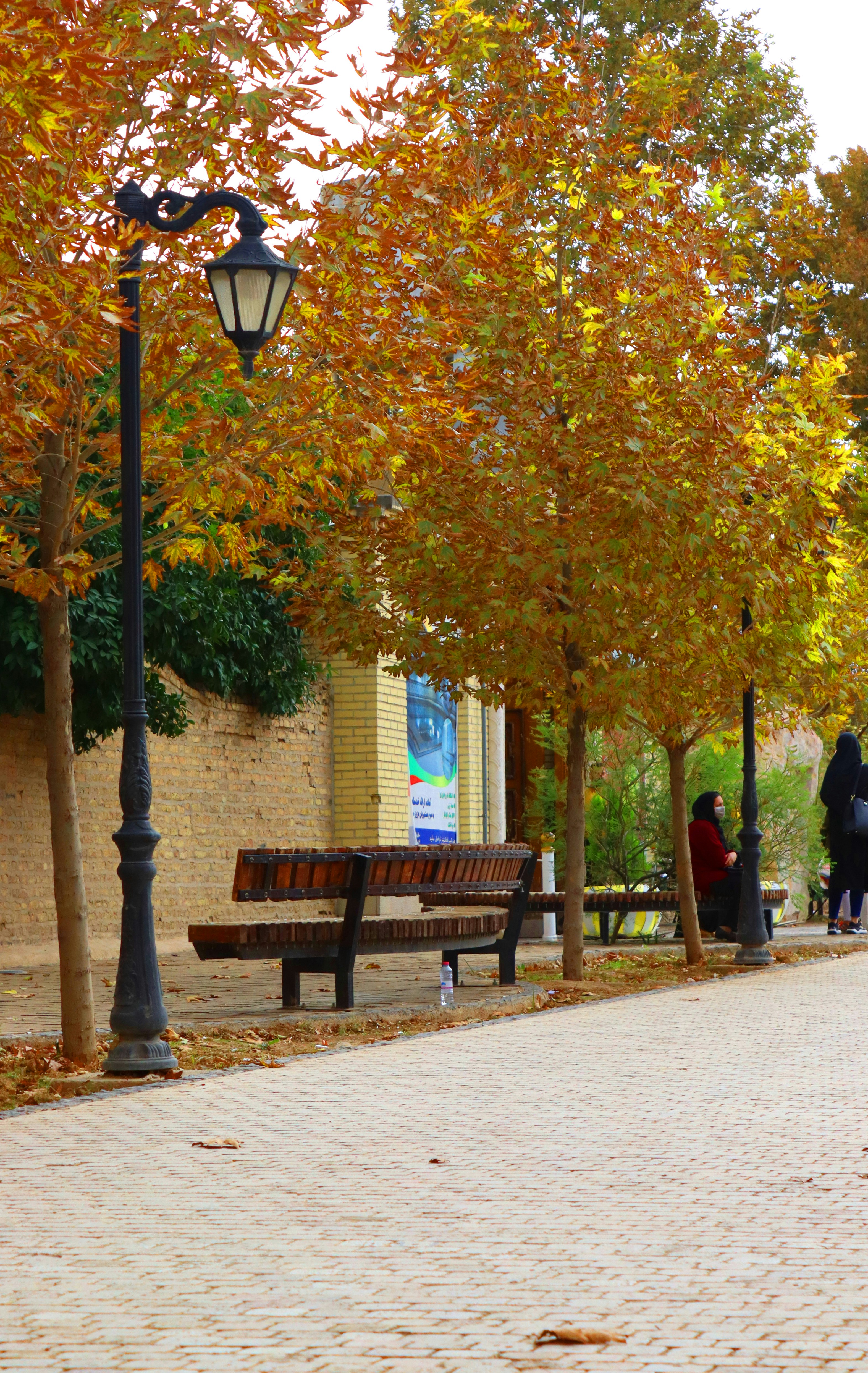 A bench sits unoccupied photo – Free Fall Image on Unsplash