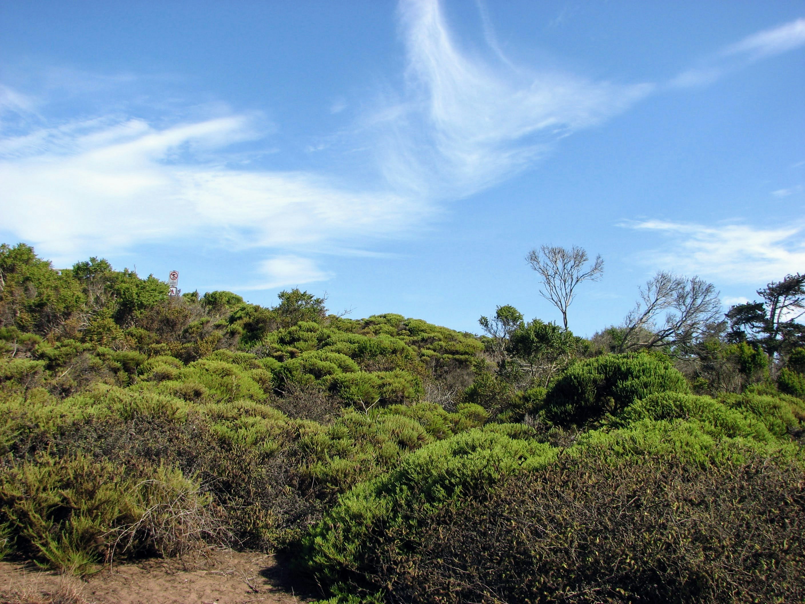 Dense shrubs and trees cover a hill under a bright, cloud-streaked sky.