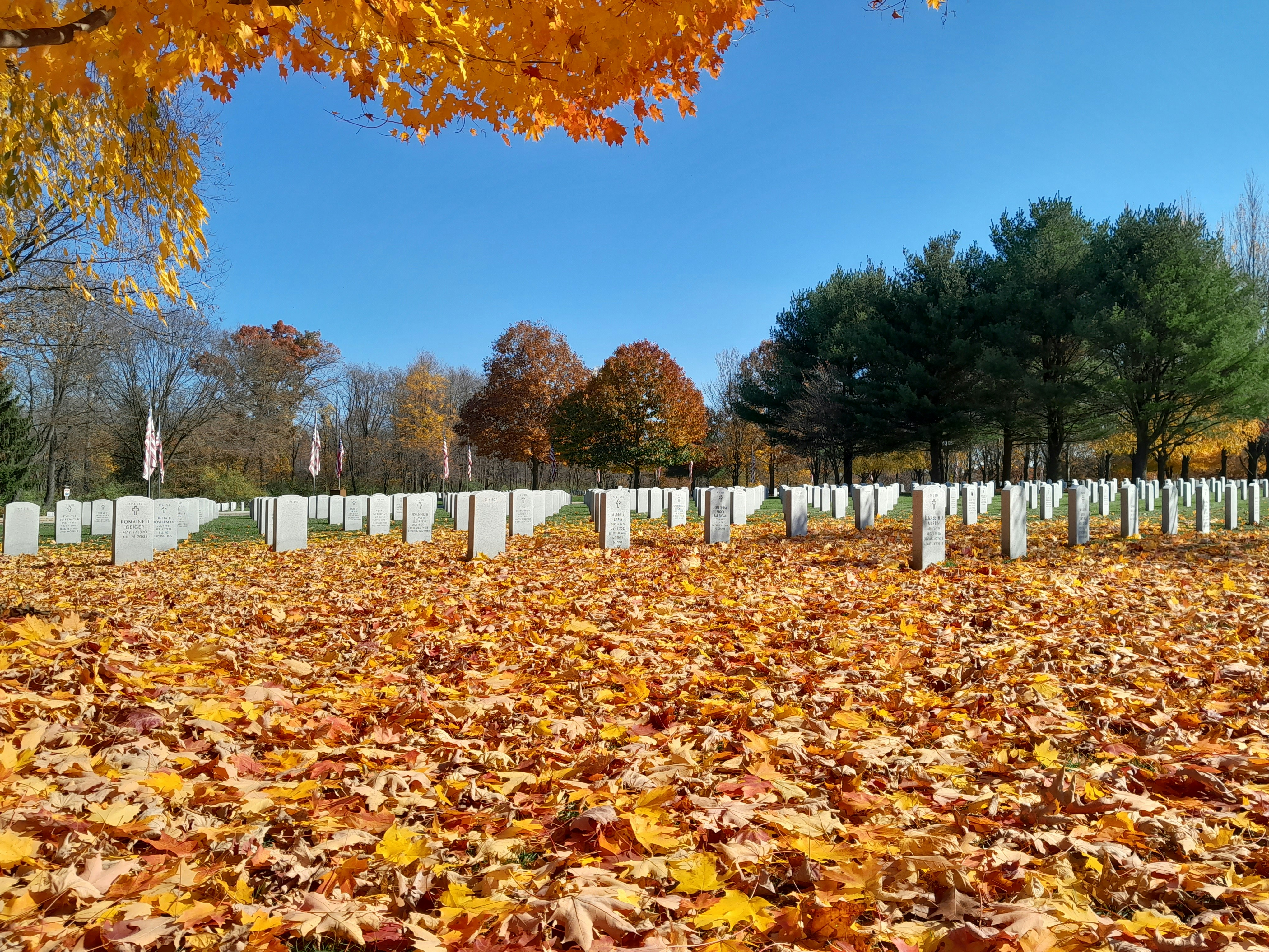Cemetery with orderly rows of white headstones under a clear blue autumn sky, the ground thickly carpeted with orange and gold leaves.