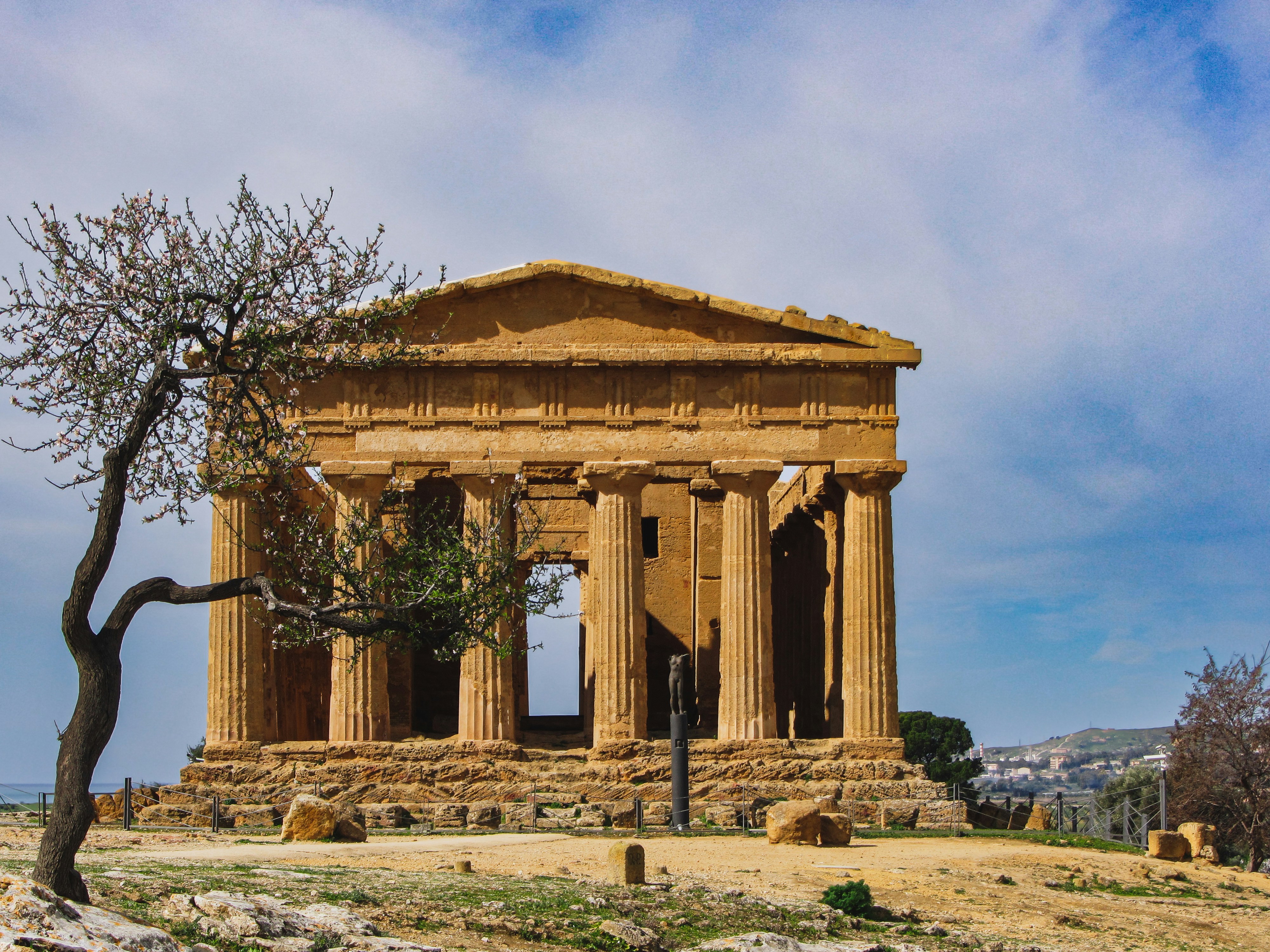 Temple of Concordia stands majestically under a bright sky, framed by a solitary tree.