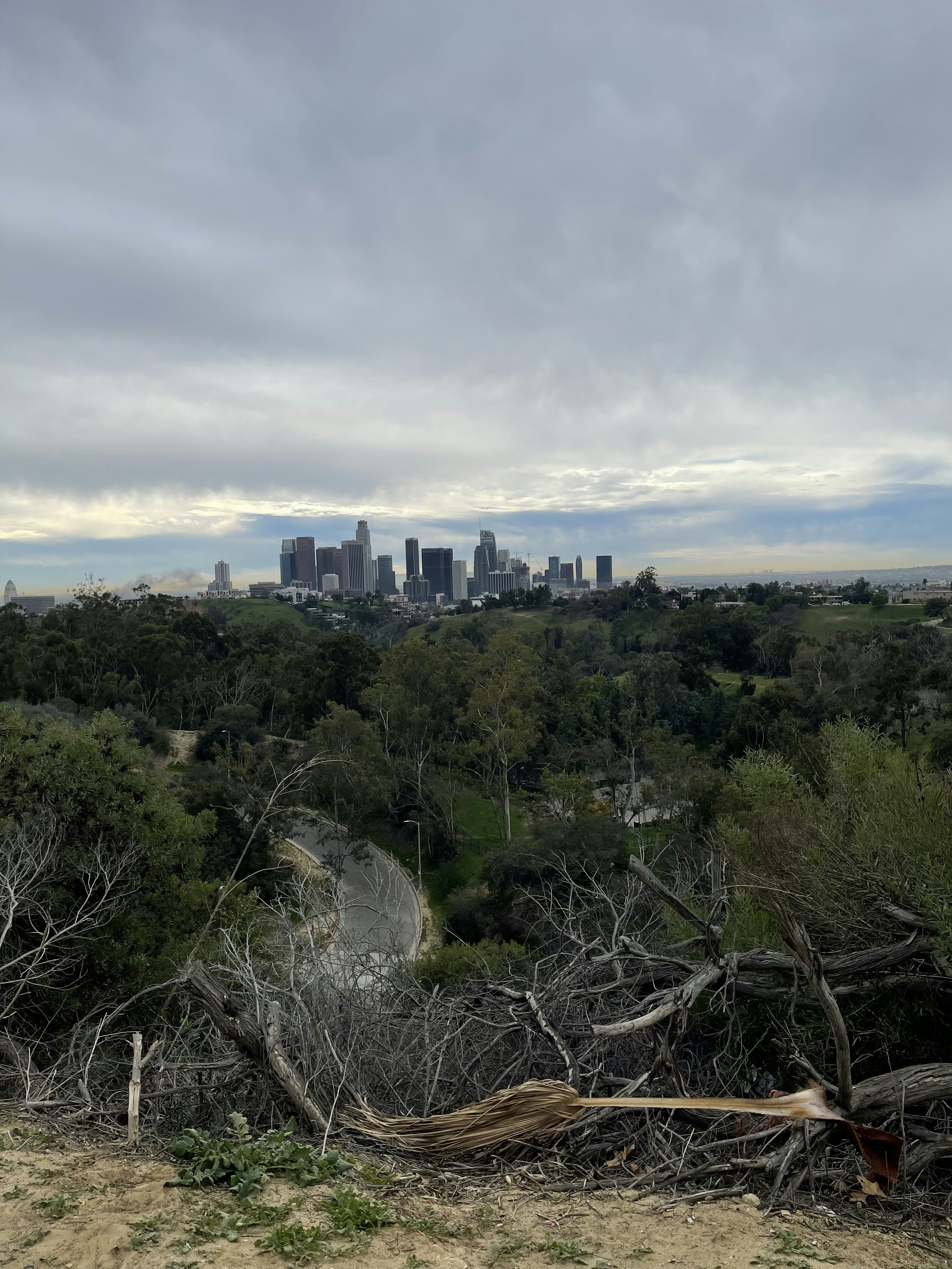 A panoramic view showcasing the skyline of a city nestled against a backdrop of lush greenery and winding paths. The scene captures the harmony between urban development and natural landscapes.