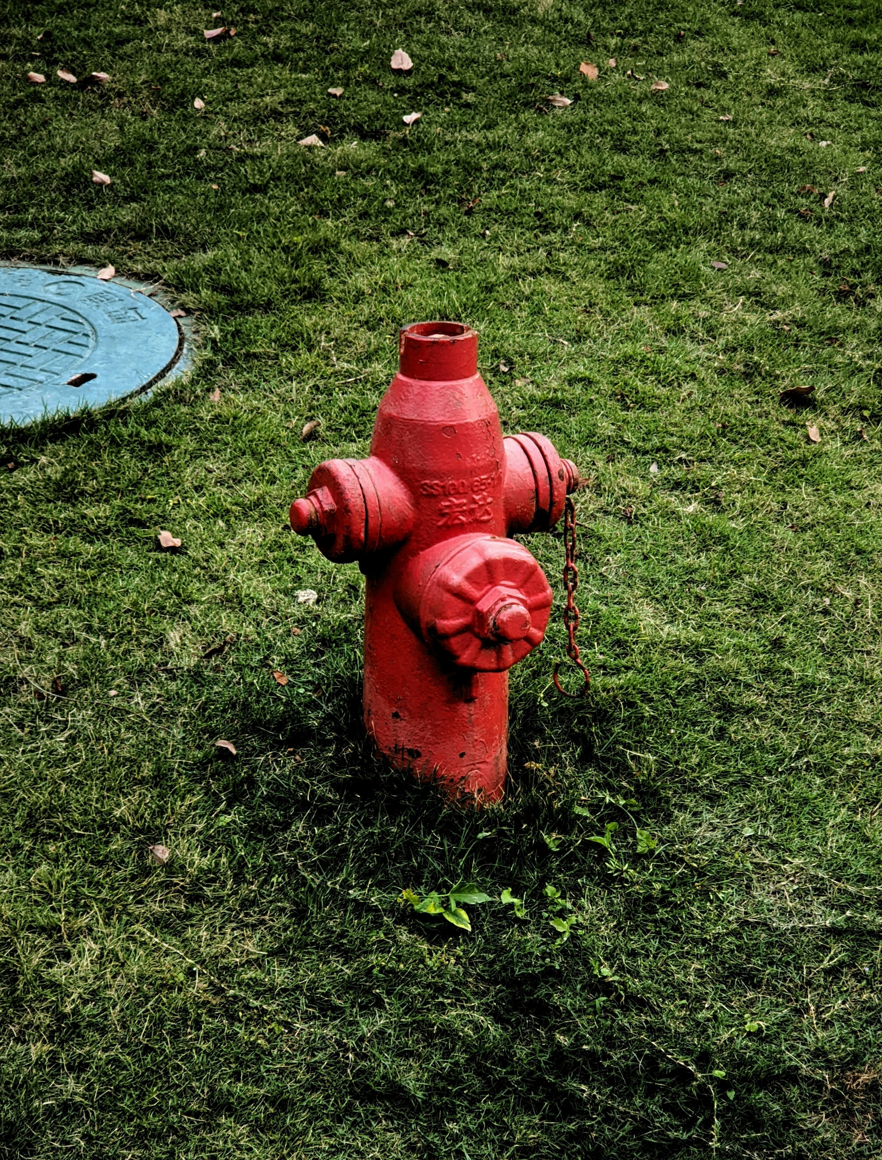A red fire hydrant in the grass photo – Free Fire hydrant Image on Unsplash