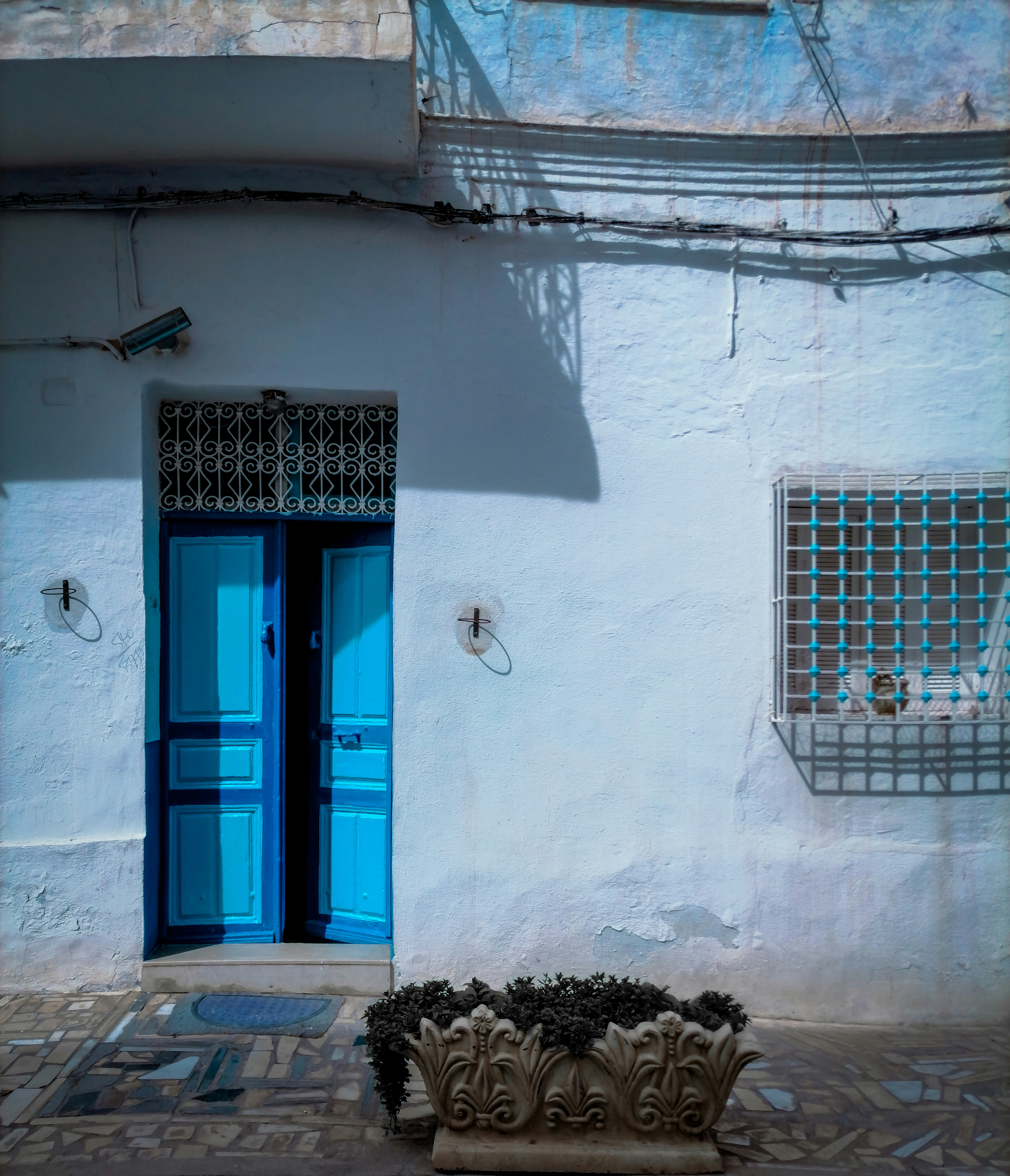 Vibrant blue doors framed by a whitewashed wall, complemented by a decorative window and a lush planter. The scene evokes a sense of calm and charm.