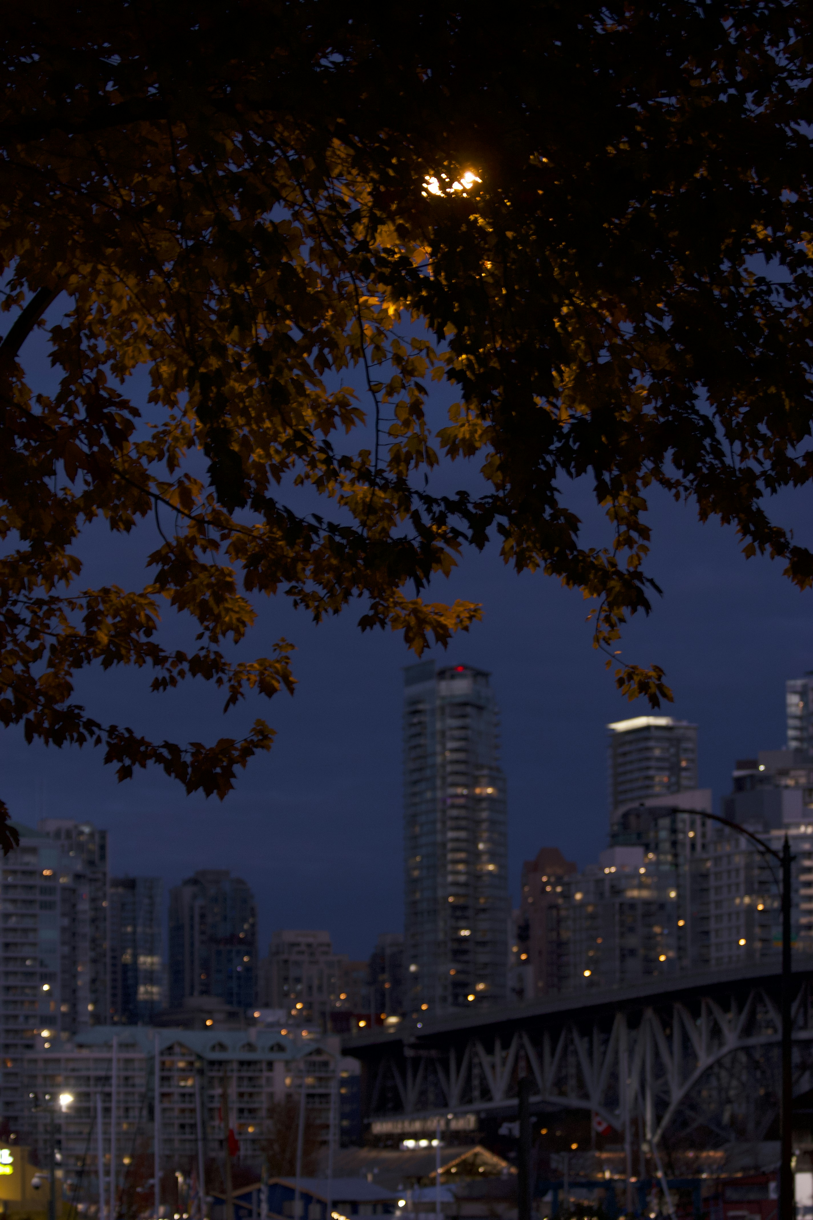 a city skyline at night