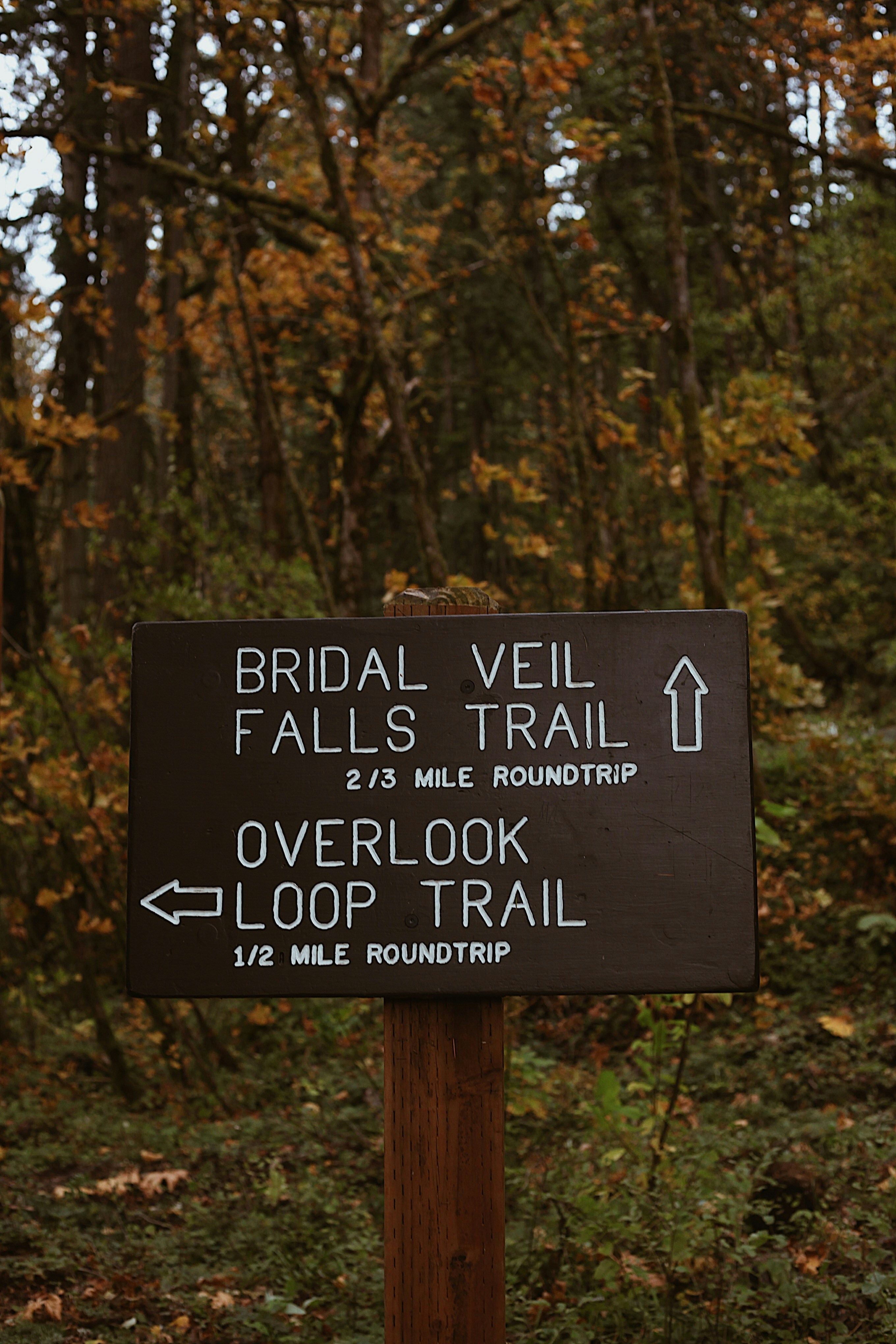 Autumn Fork: Bridal Veil Falls Trail Sign in a Forest of Rust and Gold