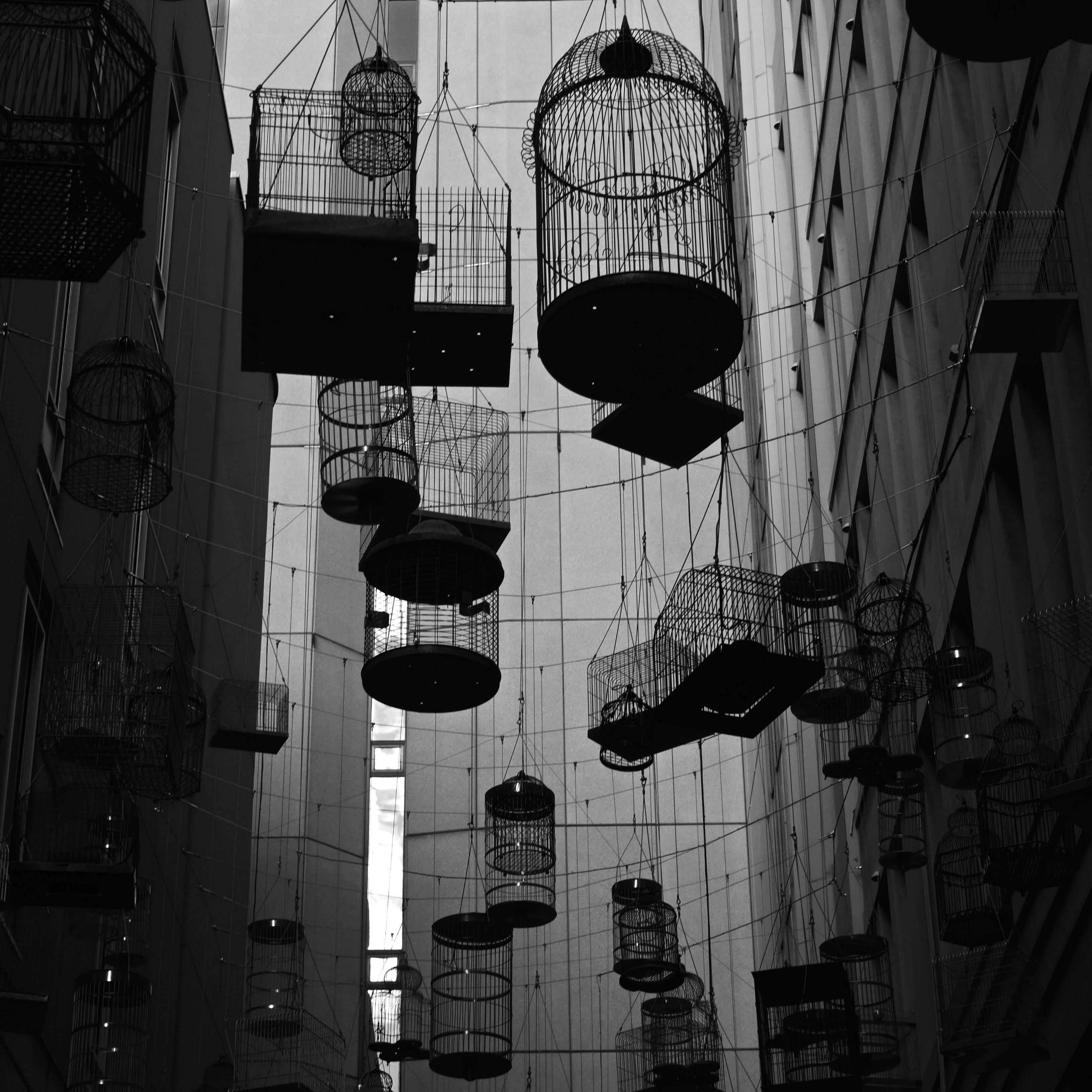 Caged Constellations Over a Narrow Alley