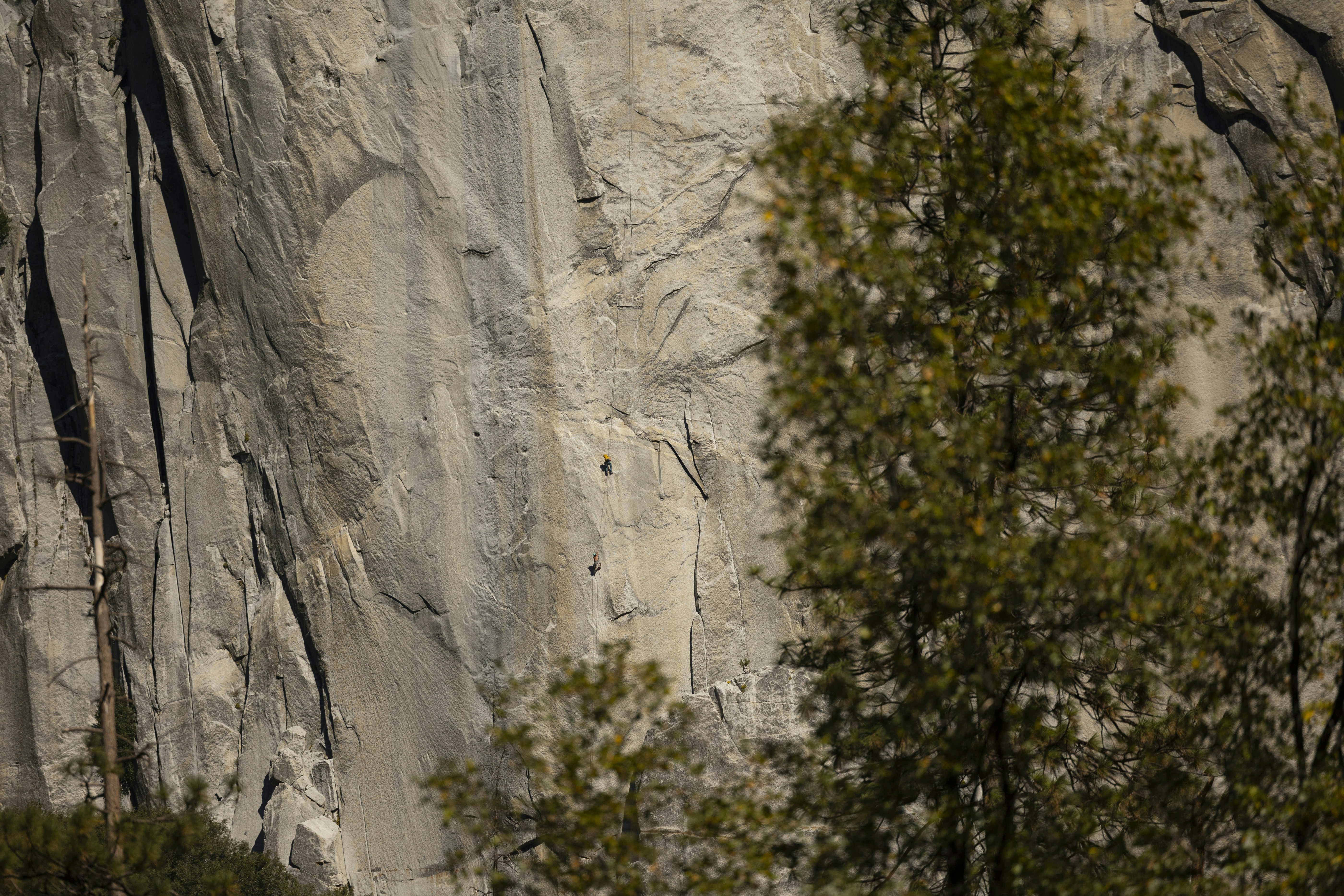 Granite Facade in Sunlight: Cliff Framed by Pines