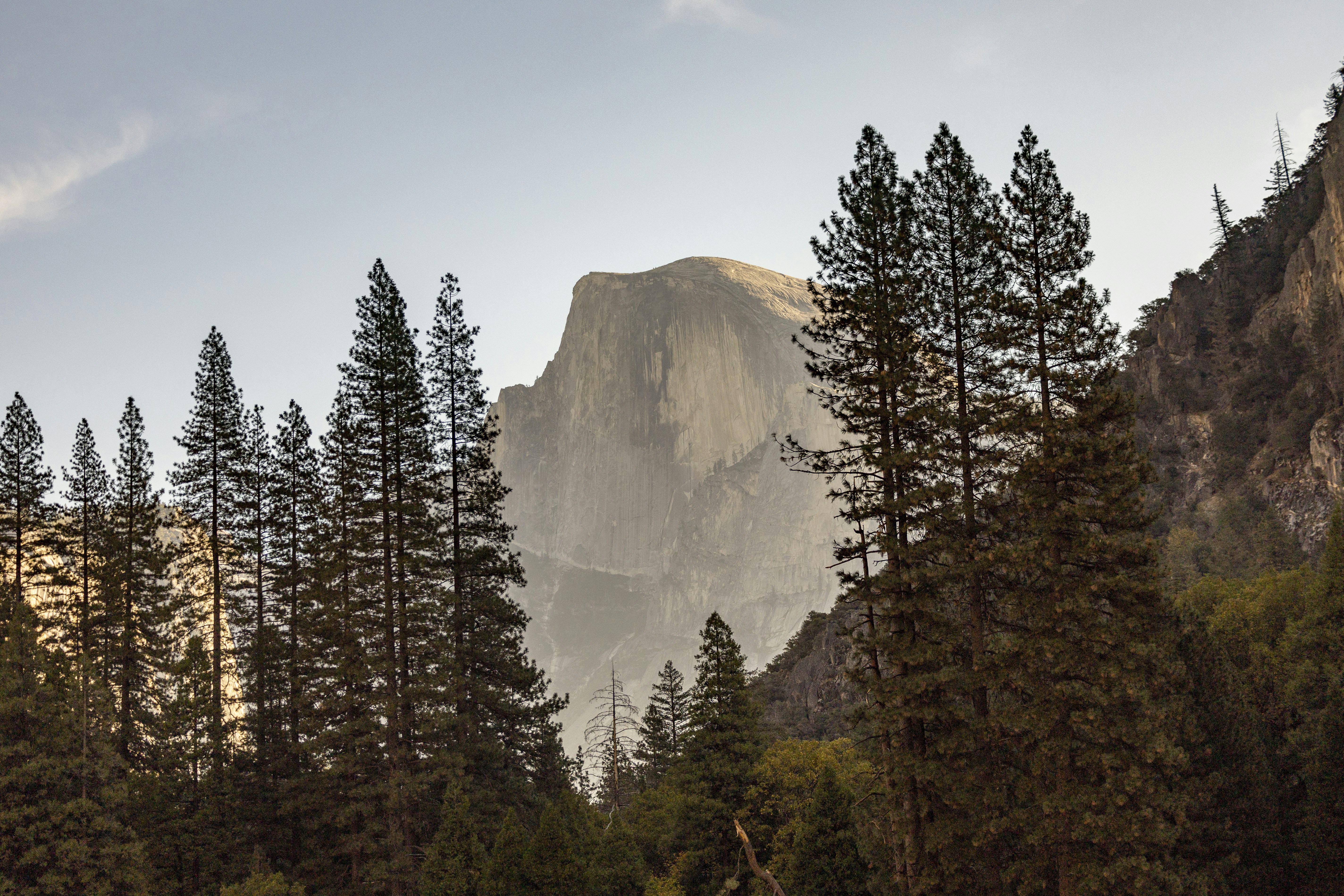 A group of trees in front of a mountain photo – Free Yosemite national ...