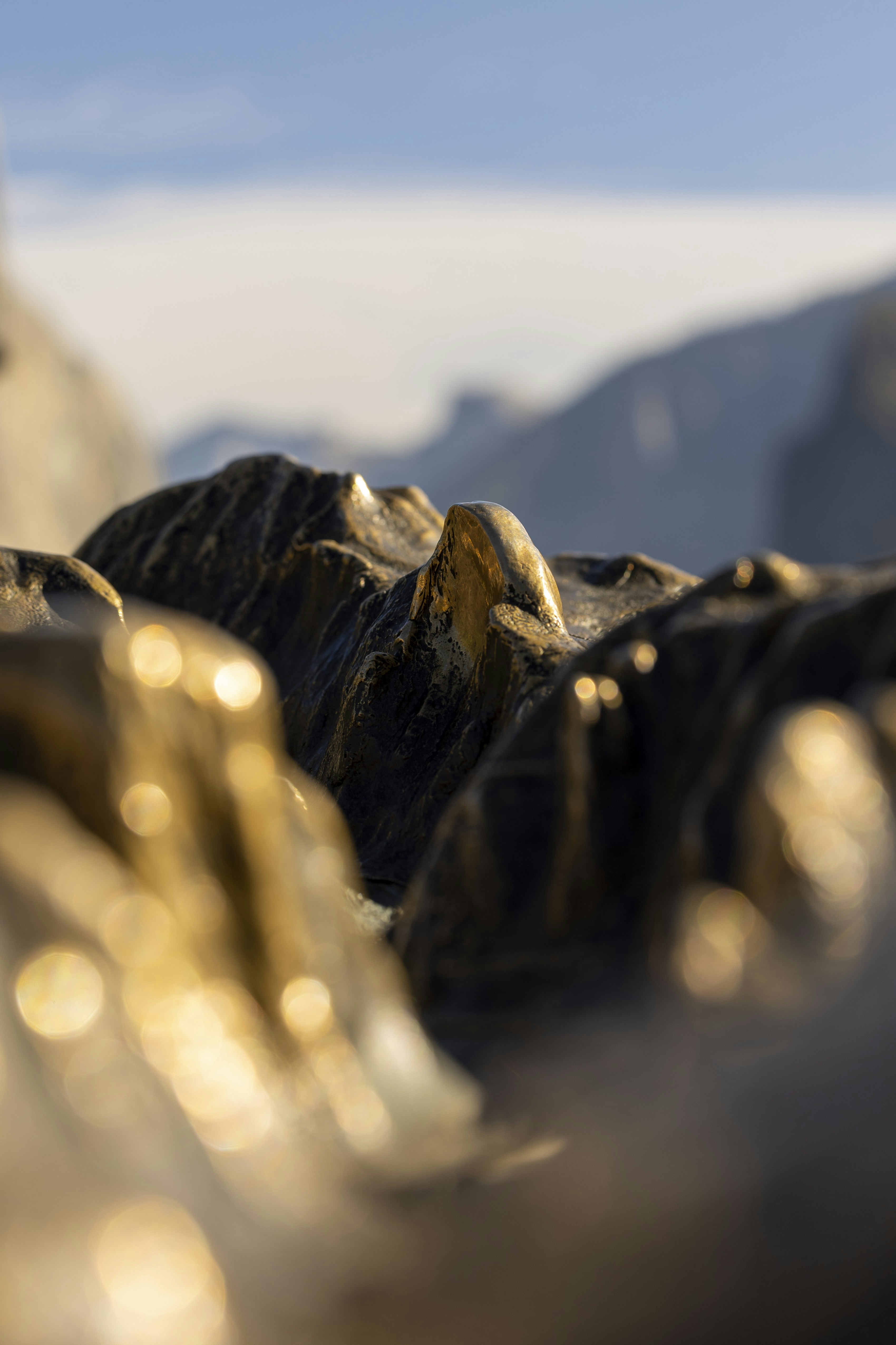 Golden Ridges: A Close-Up of Sunlit, Textured Coastal Rocks