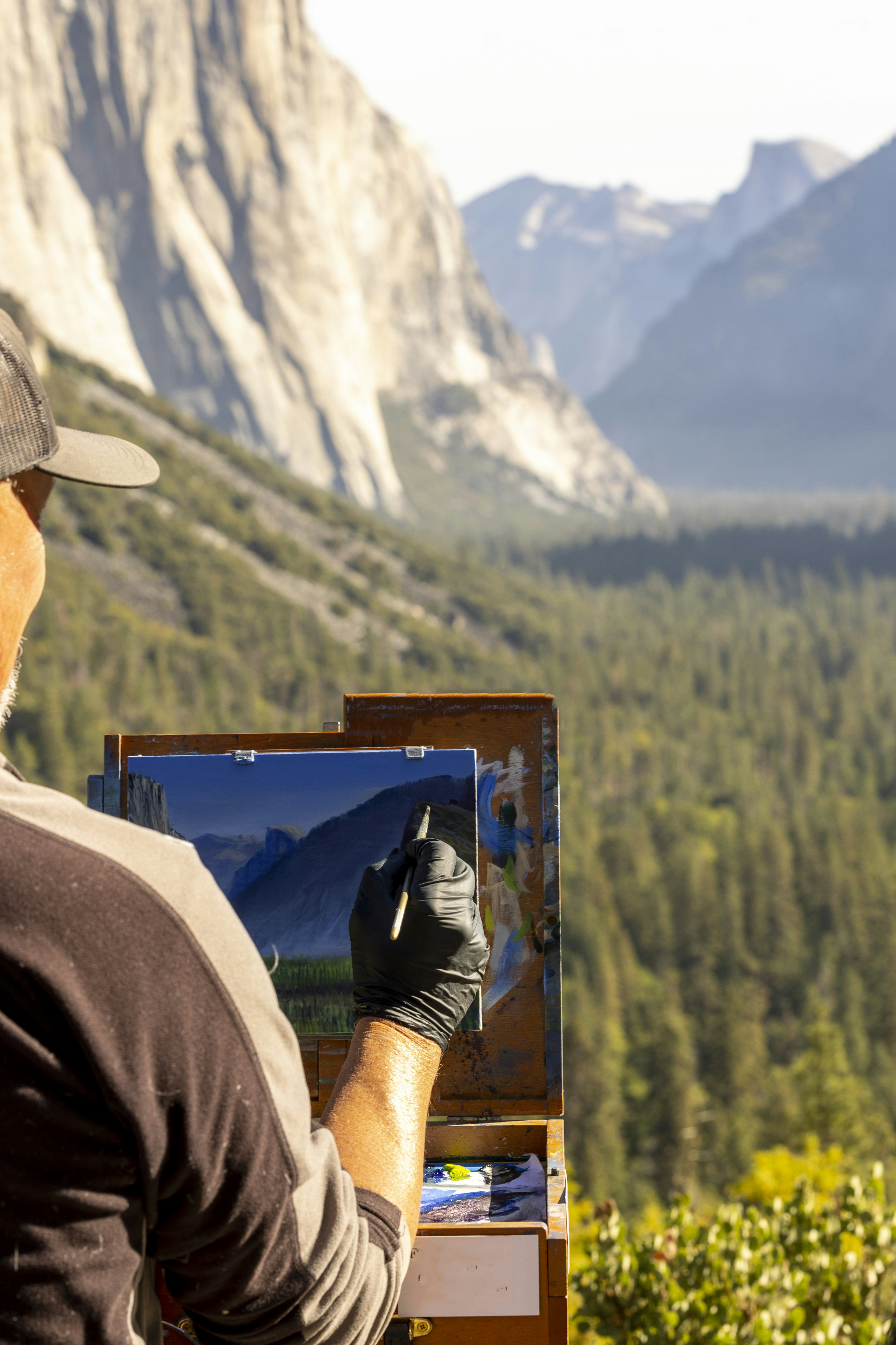 Grain and Granite: A Mountainside Painter in Focus