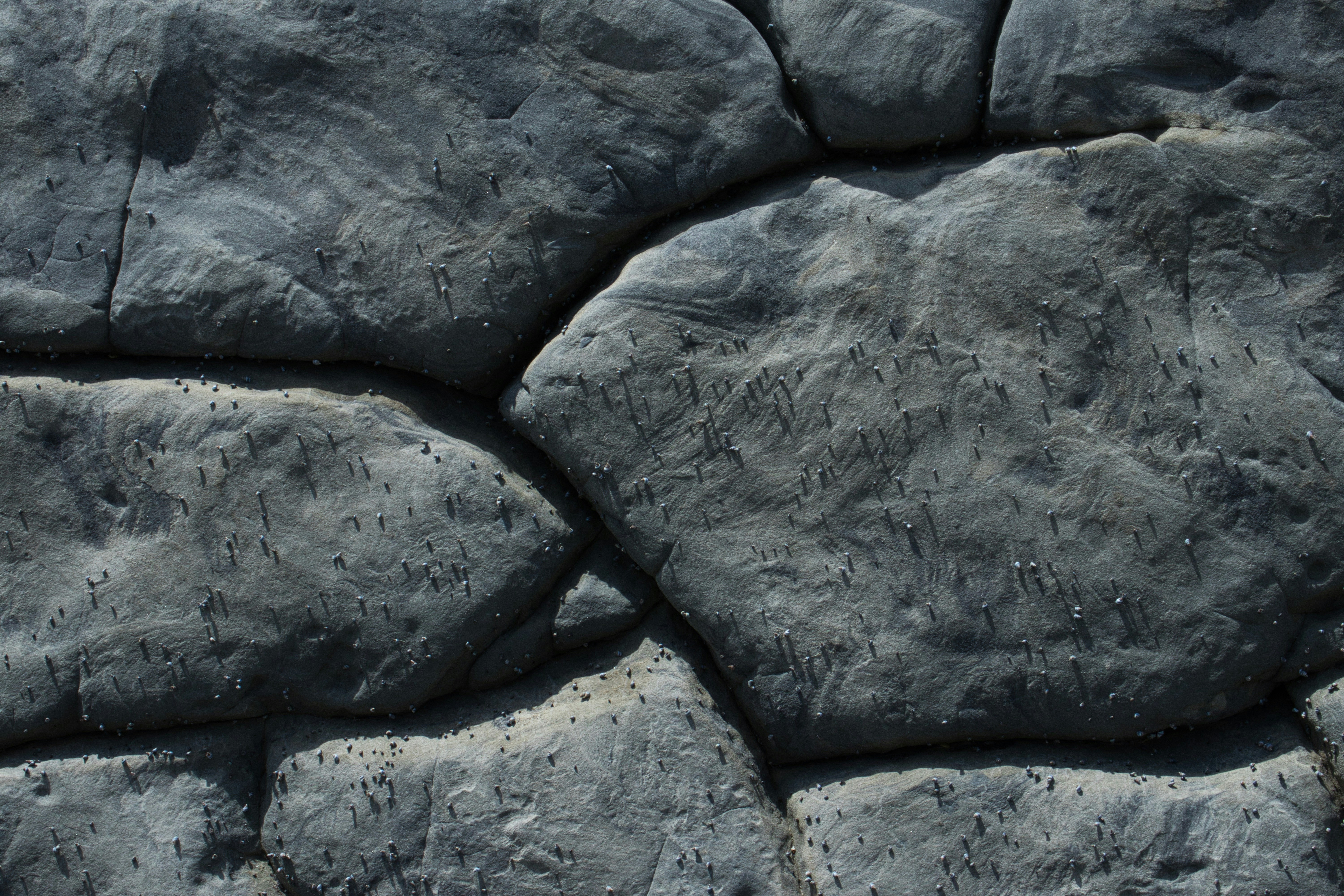 Foto Un primer plano de algunas rocas – Imagen Cara de roca gratis en ...