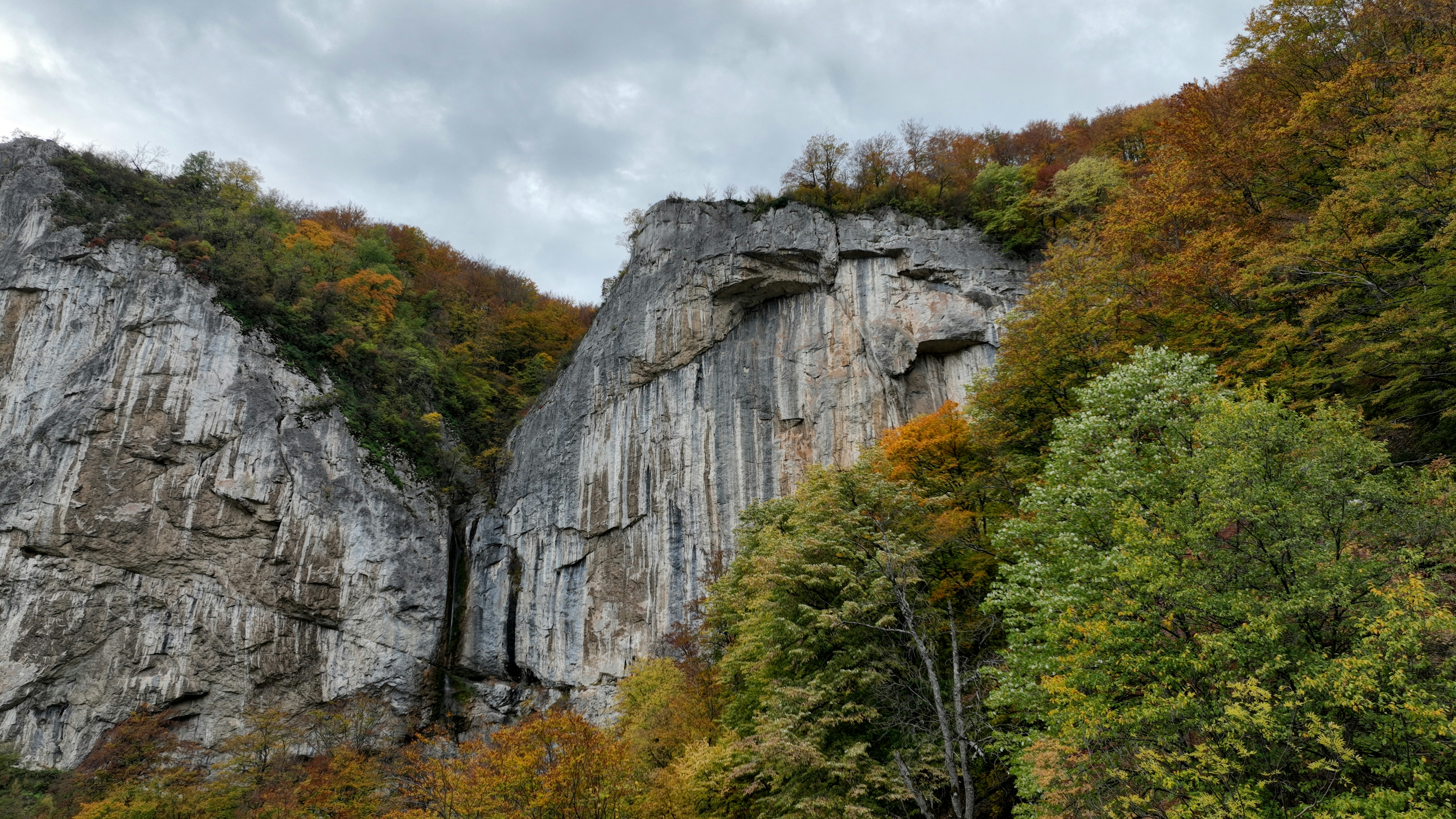 Autumn limestone cliffscape: weathered strata and crimson-tinged foliage