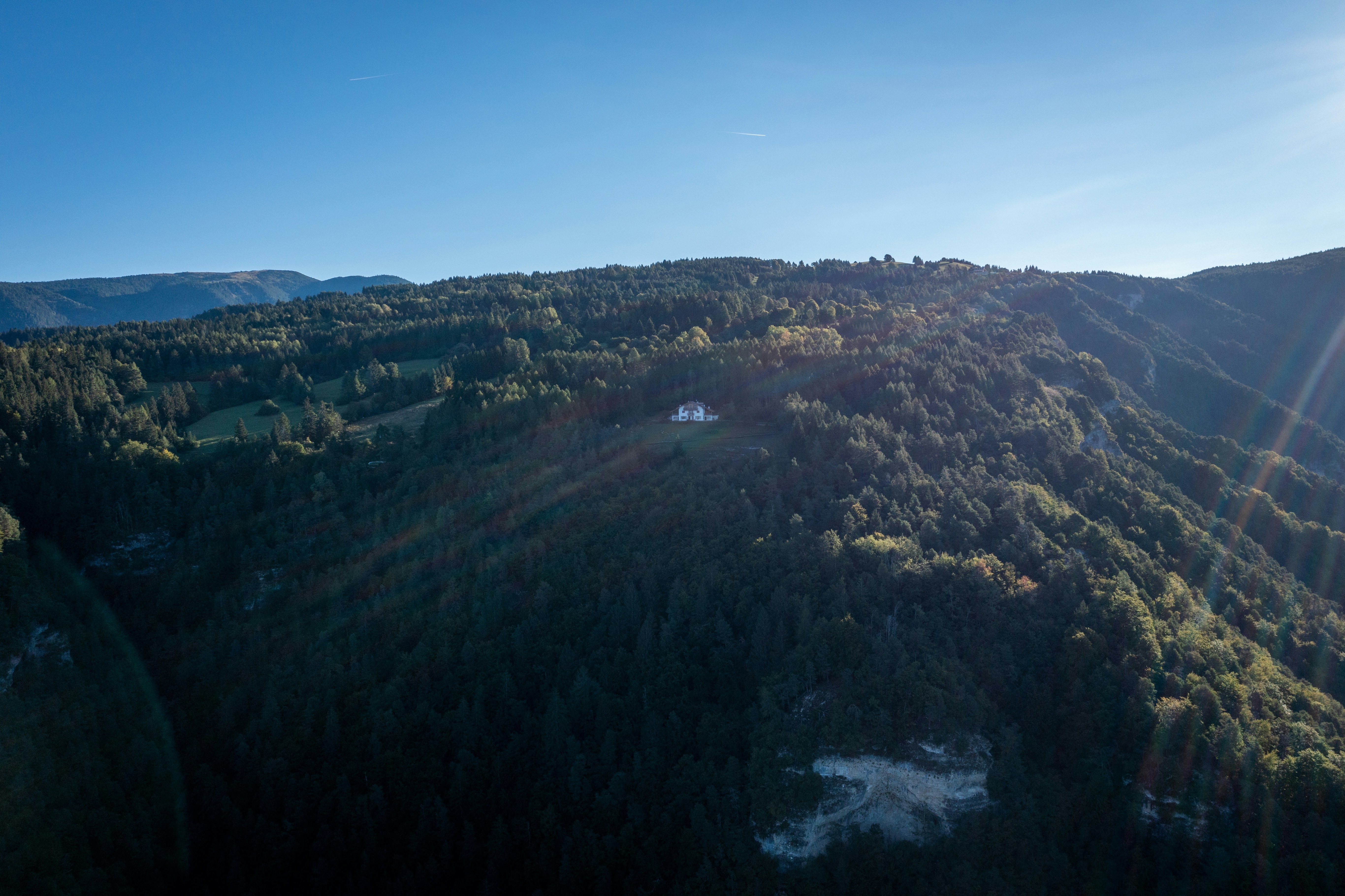 Ridgeline Reverie: A Sunlit Clearing Among Pines