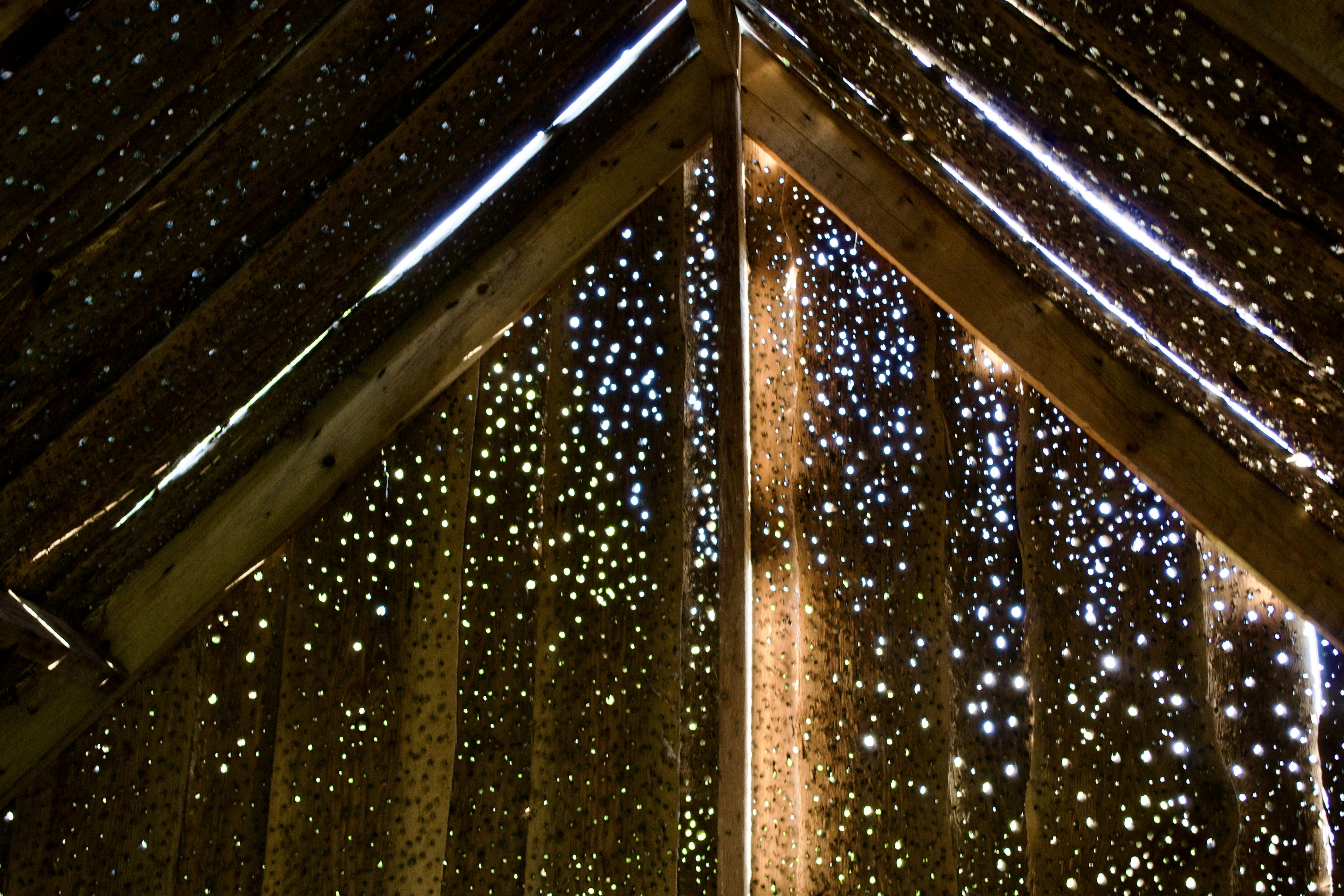 Dust Stars Between Timber: Sunlit Motes in an Attic Frame