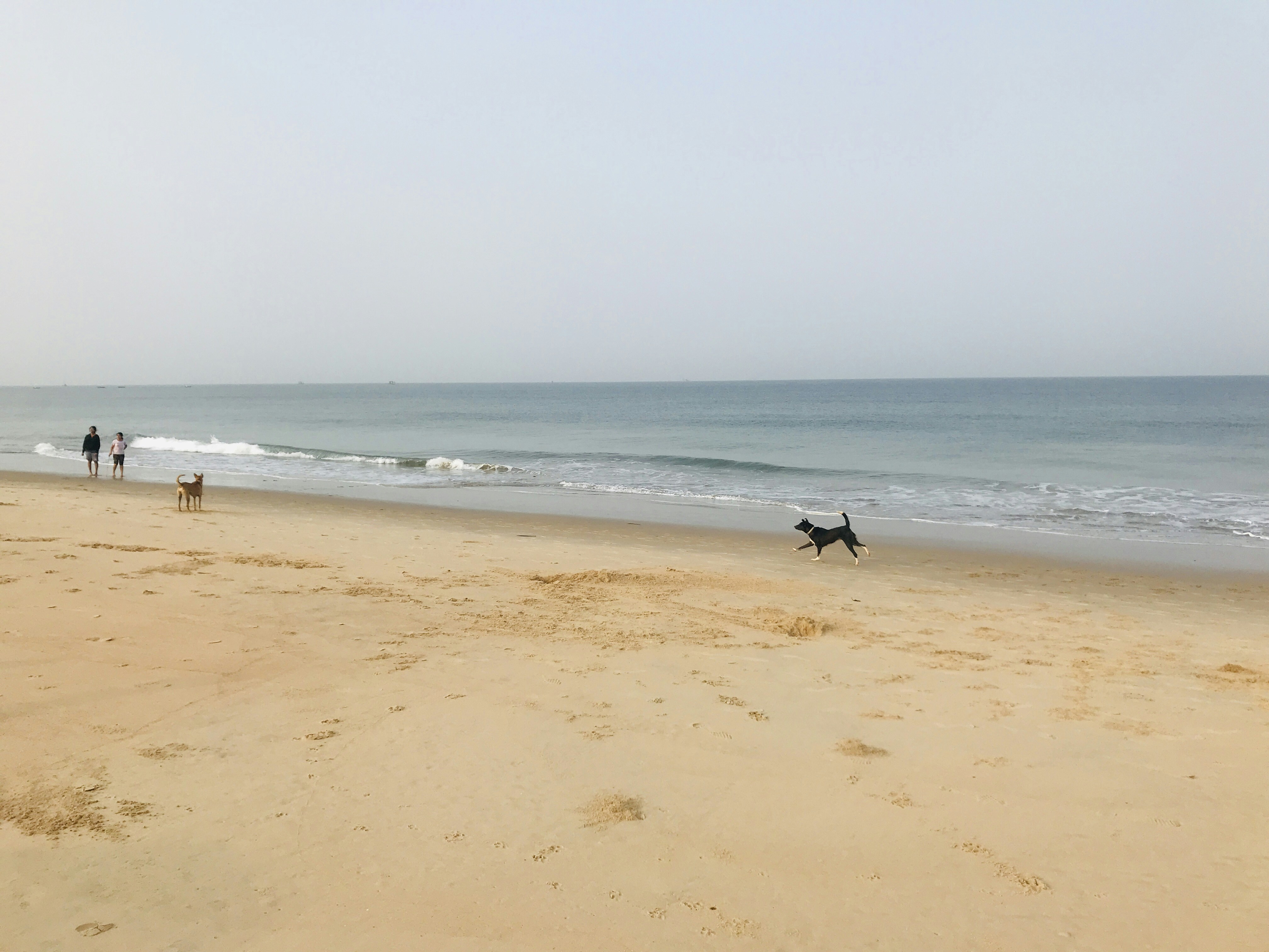 500+ Goa Pictures [HD] | Download Free Images on Unsplash