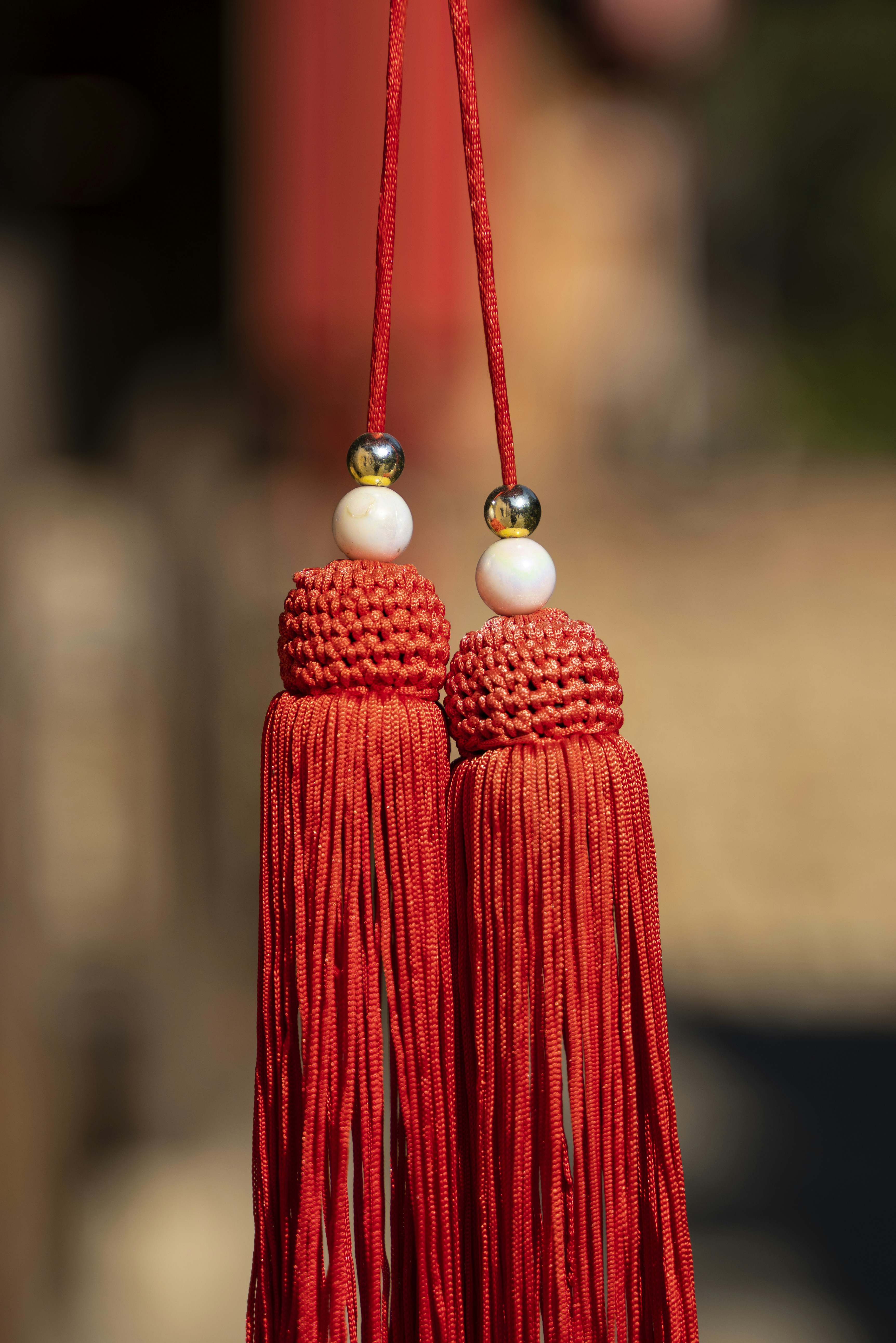 Photo by Ziyao Xiong with Sony Alpha 7R IIIA