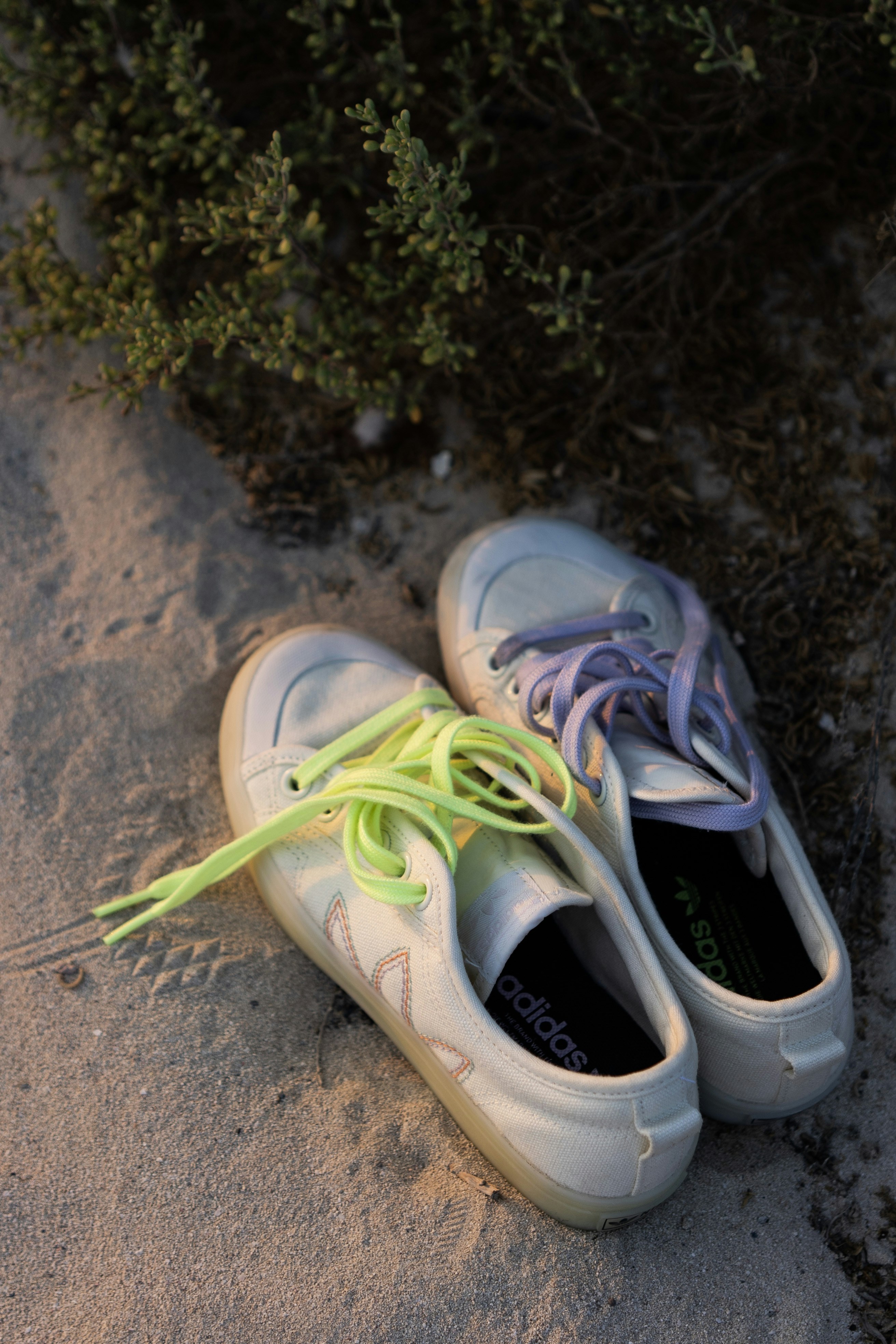 Neon Laces on Quiet Sand: Sneakers Rest at the Edge of Beach Brush