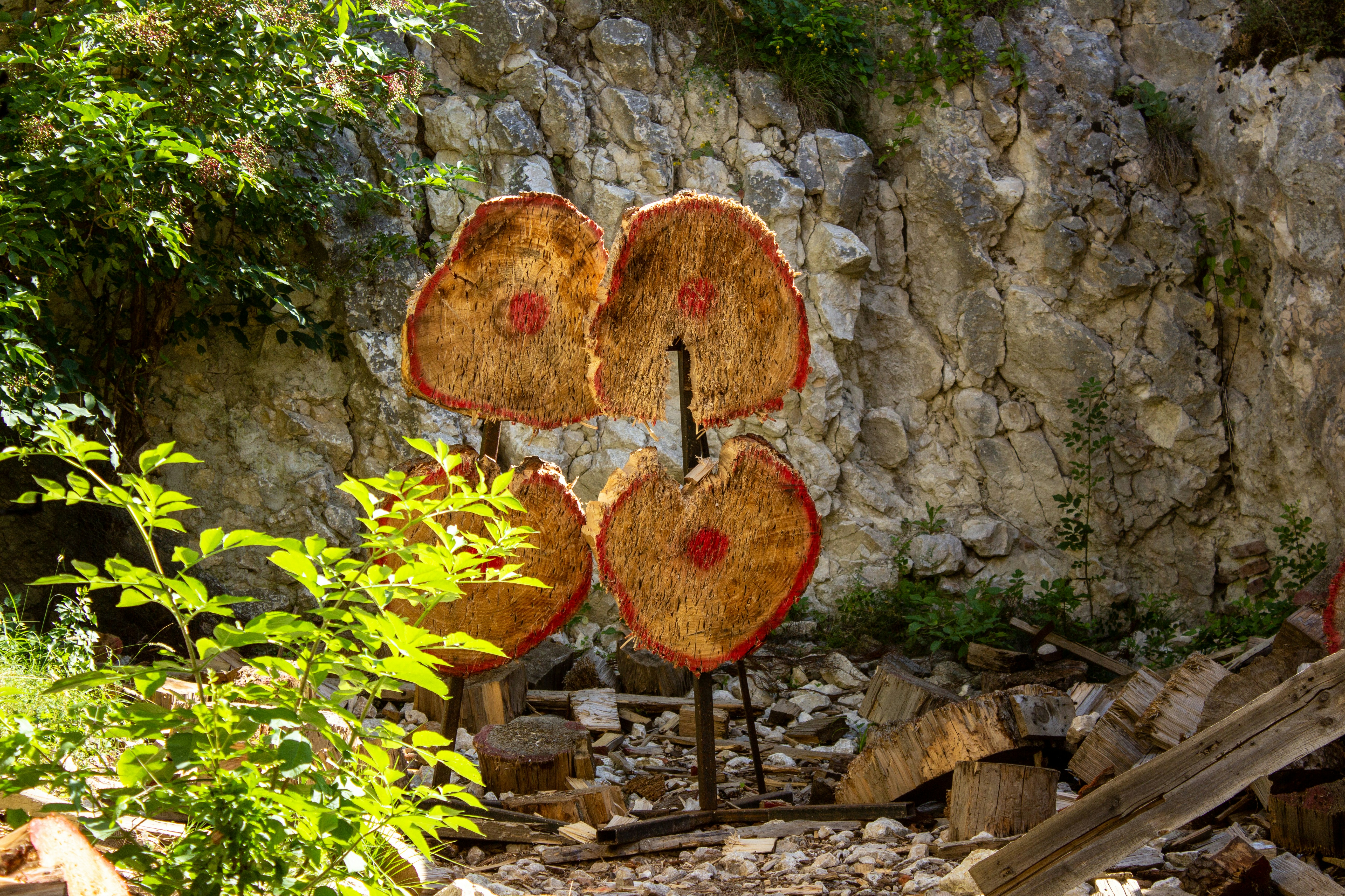 Heartwood Targets: Split-Log Orchard in Sunlit Debris