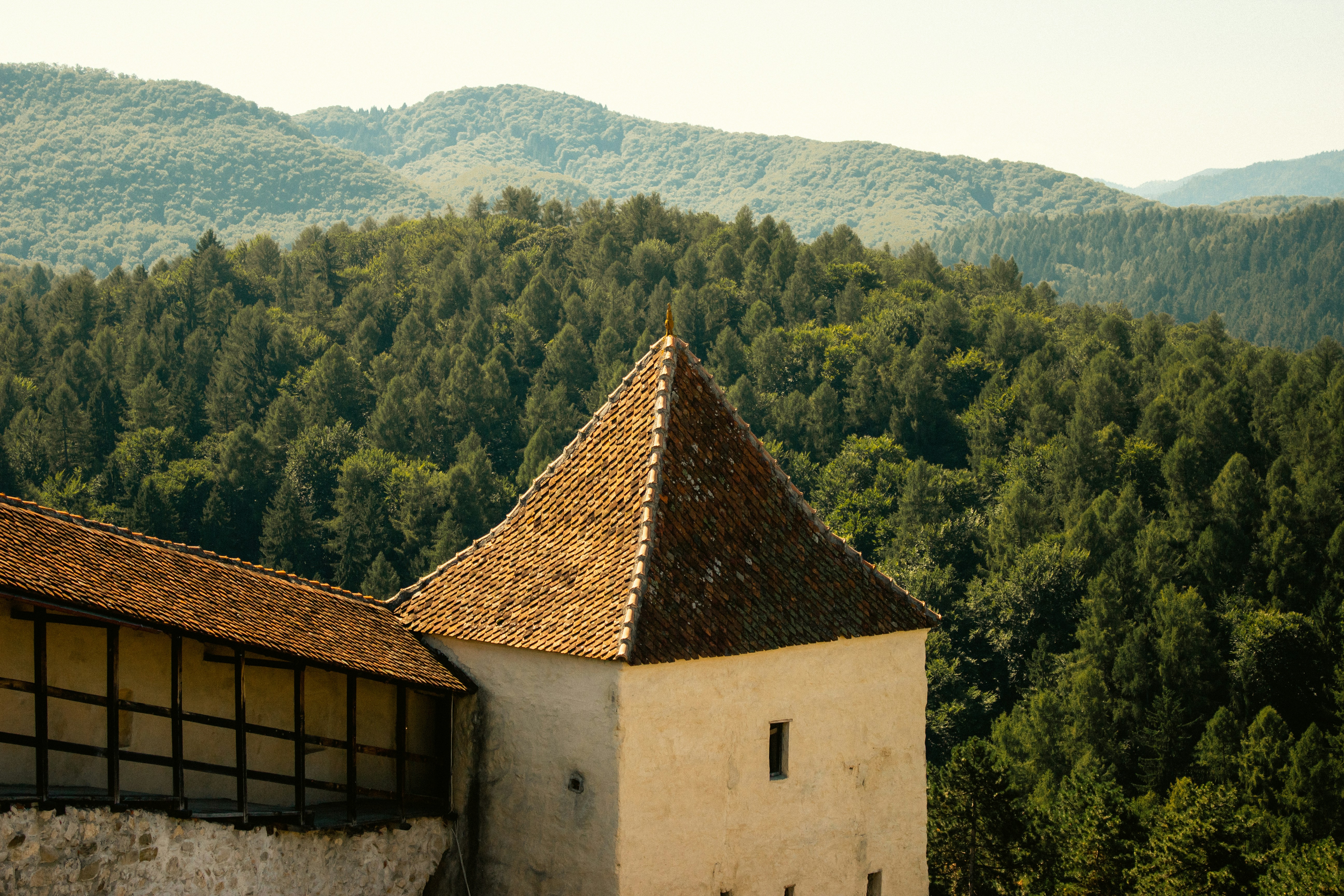 Pyramid-Roofed Keep Amid Pines and Distant Peaks