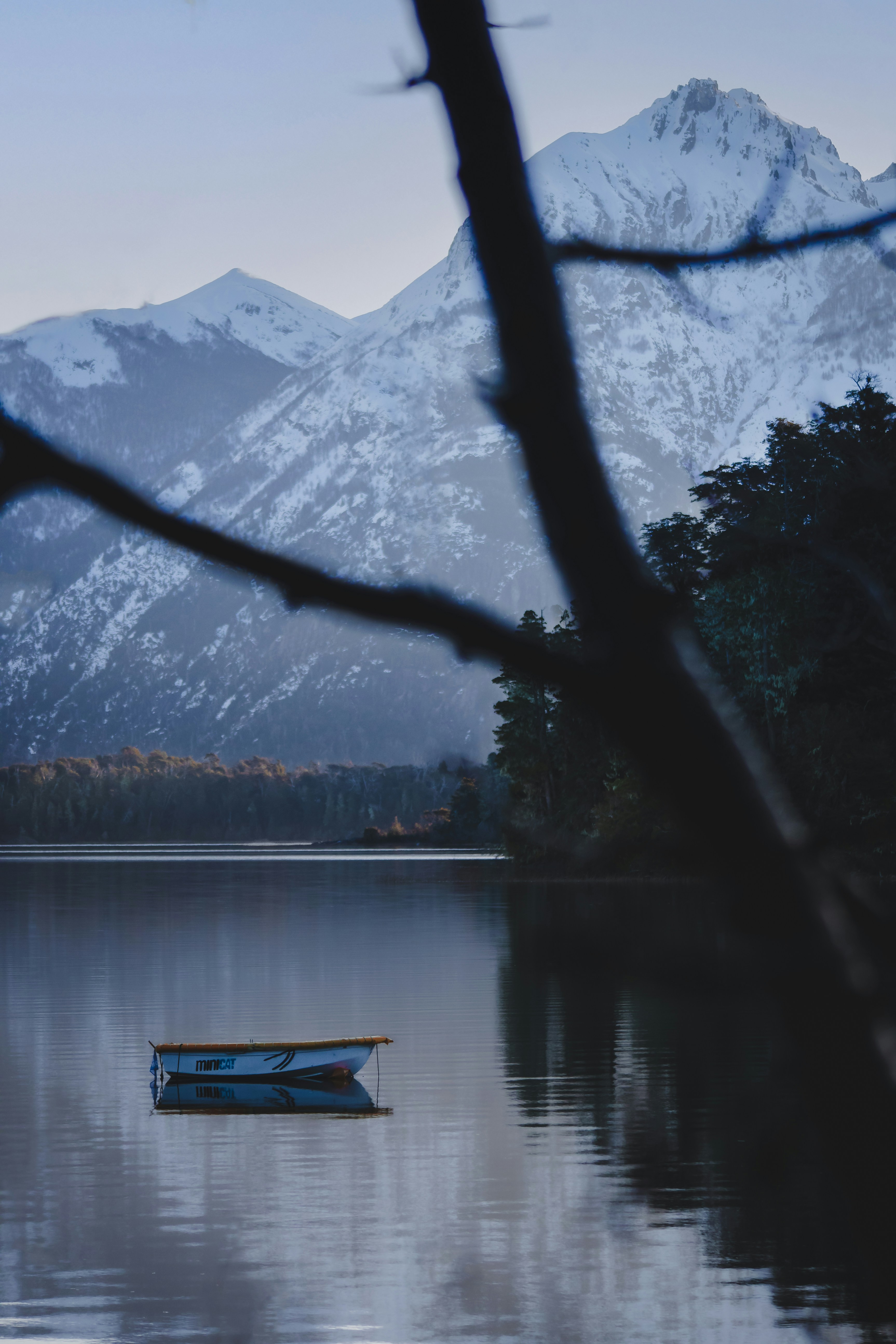 A lone boat on glassy lake with snow-capped peaks peering through a veil of branches