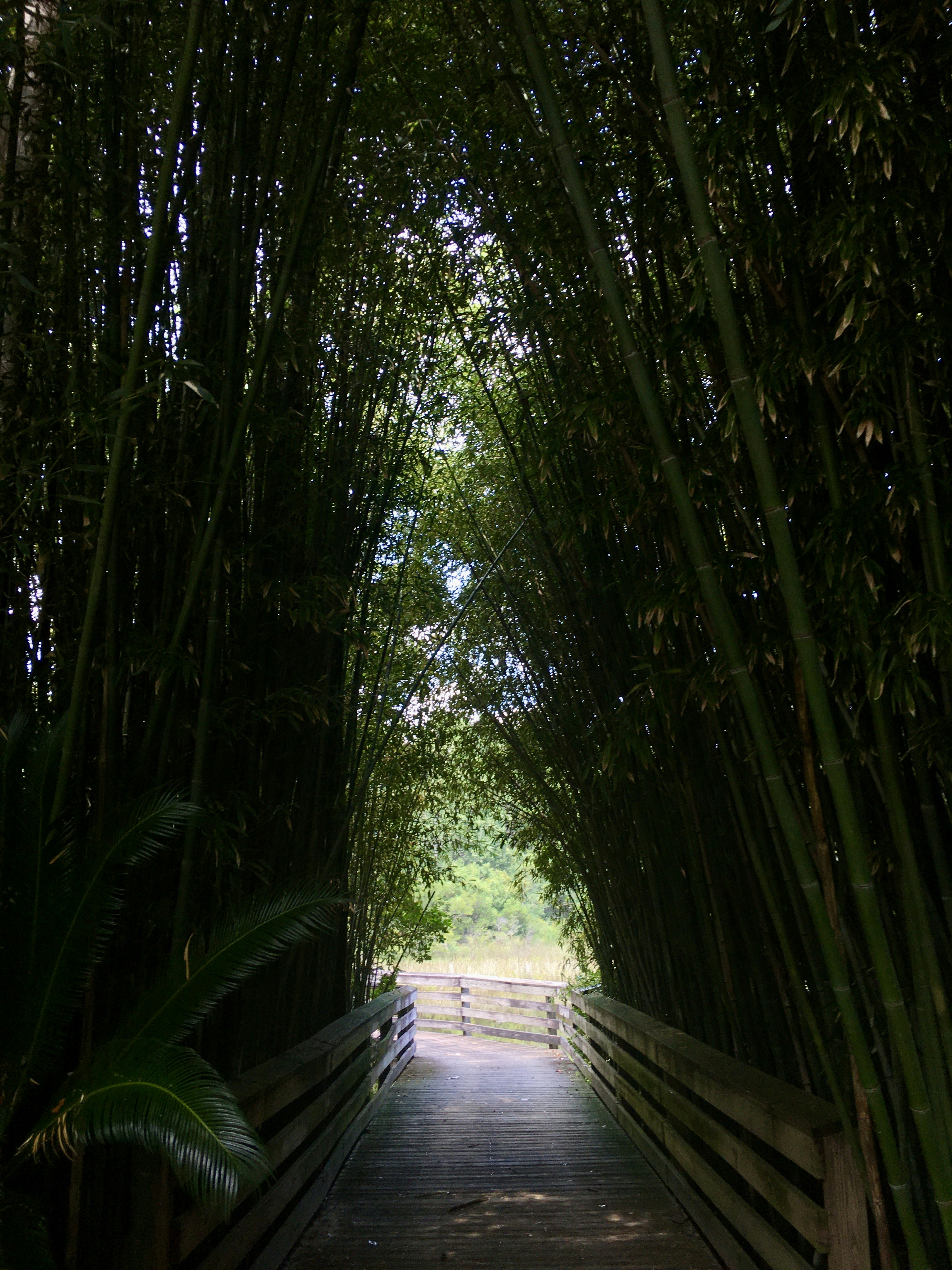 Photo by Hannah ✰ with Apple iPhone 6s