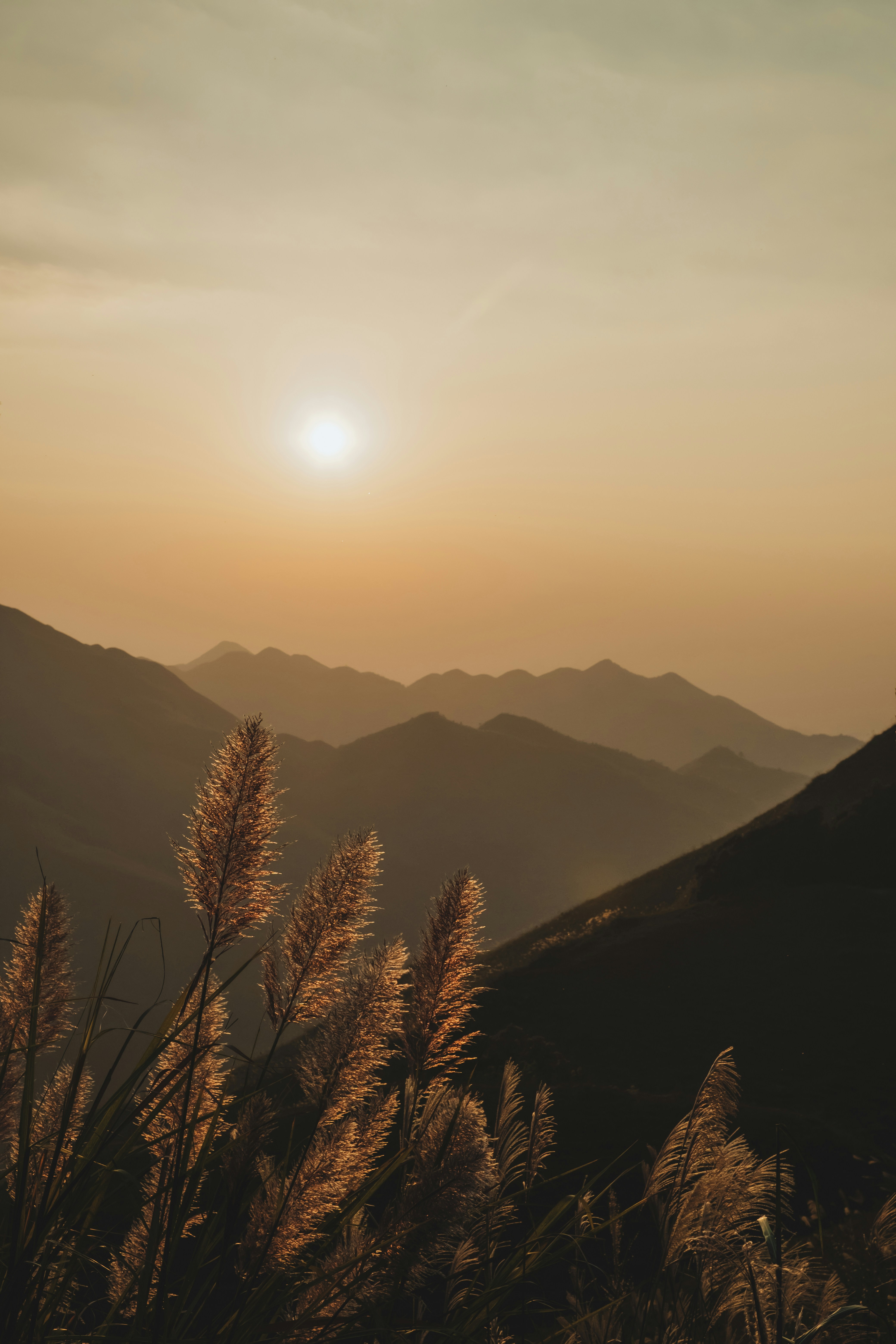 Embers on the Ridge: Golden Light Over Echoing Peaks