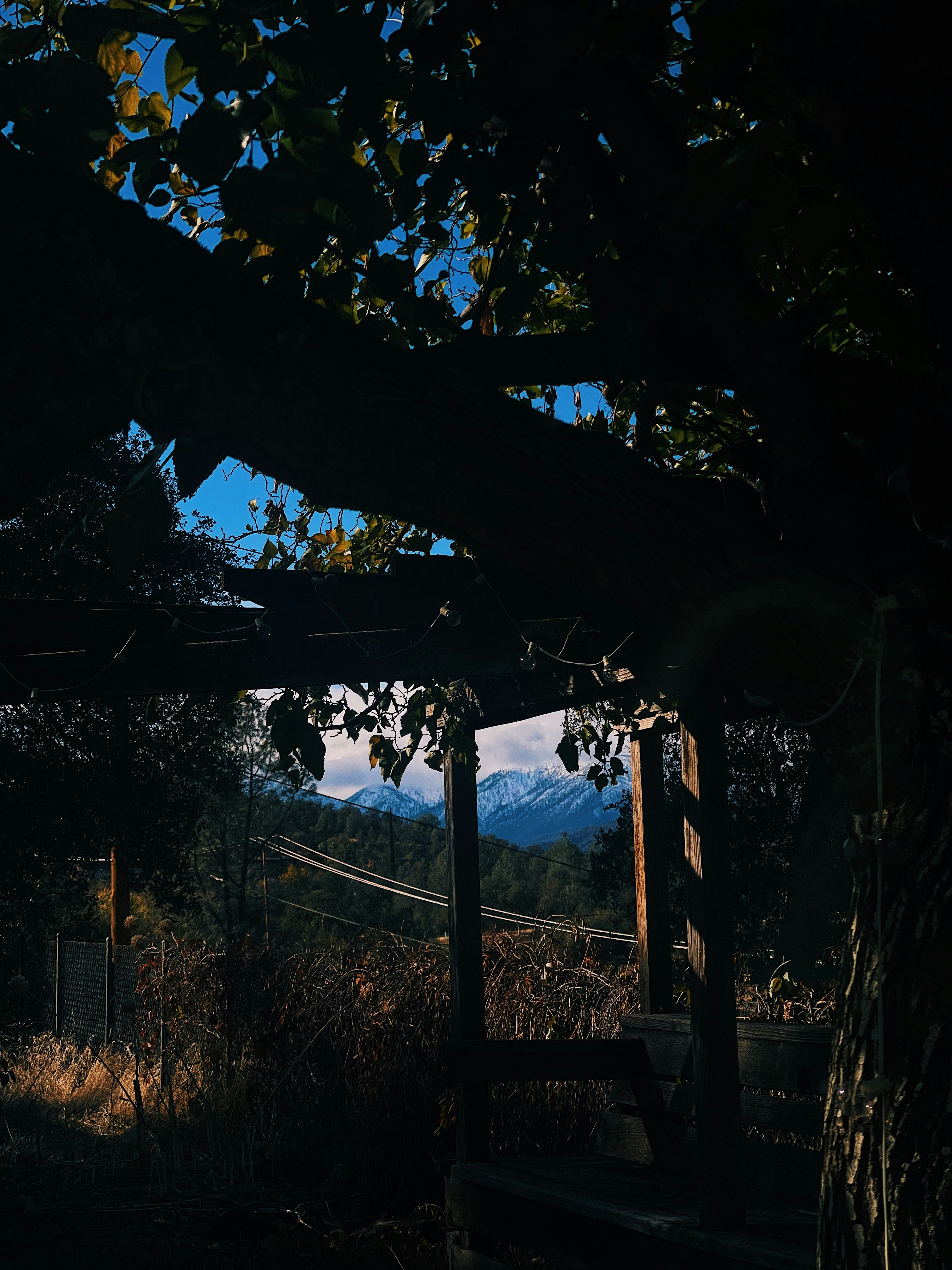 Tumblr Vintage Nature Photography